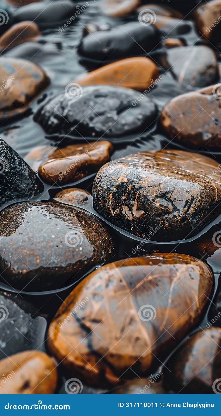 Wet River Rocks in Close Up View Stock Image - Image of stones, smooth: 317110011