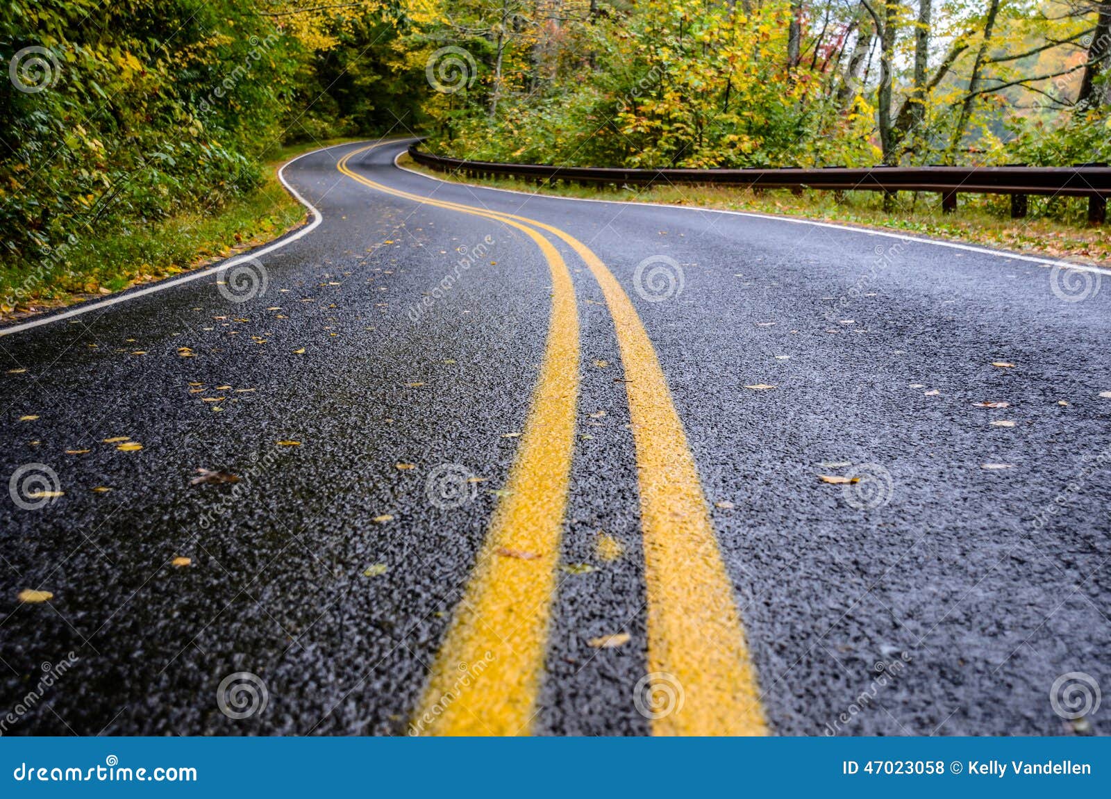 Wet Road in Mountains in Fall Stock Photo - Image of macadam ...