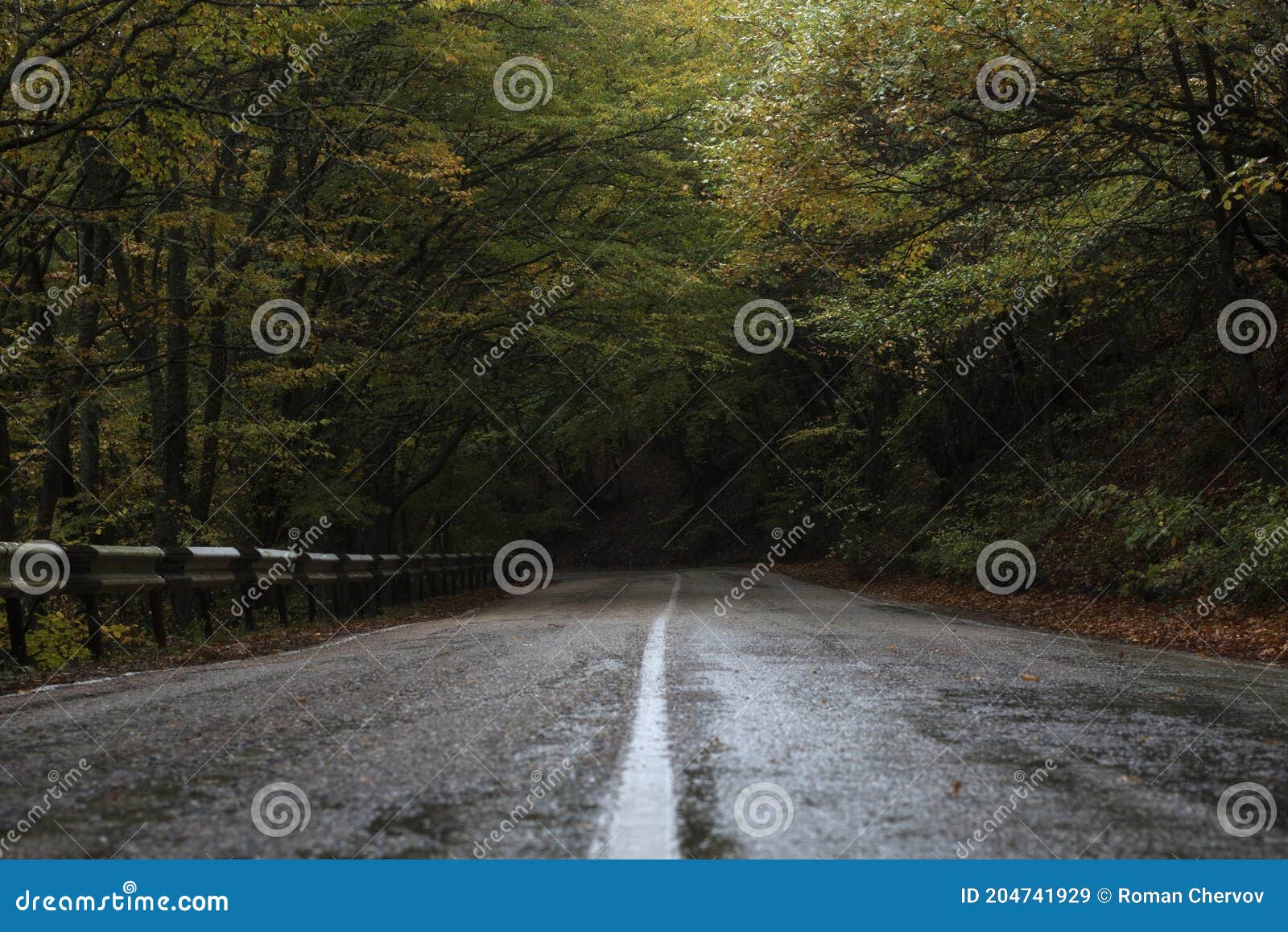 Wet road stock image. Image of journey, light, environment - 204741929