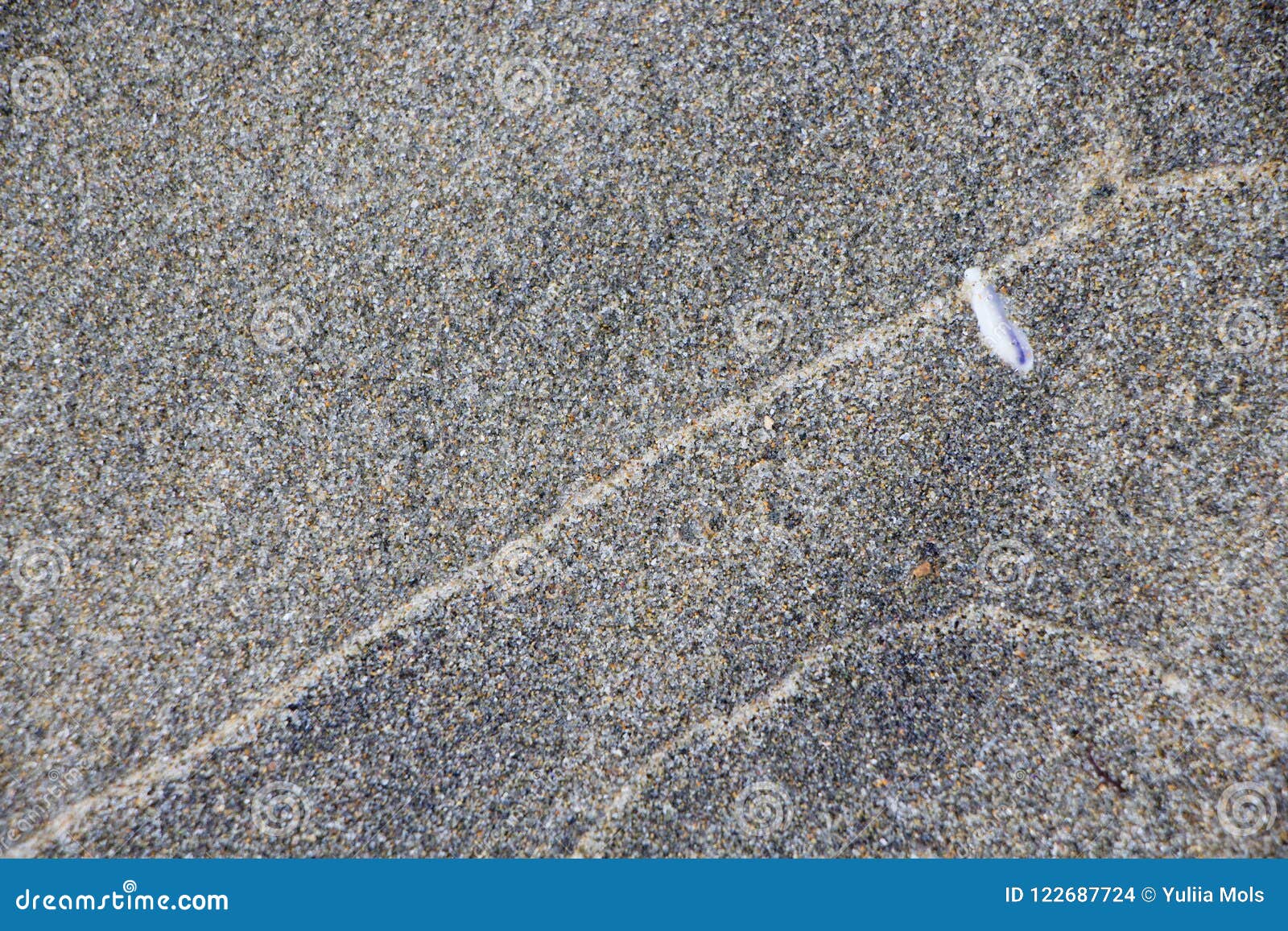 Wet Rock and Sand on the Beach. Stock Photo - Image of surface, flowing ...