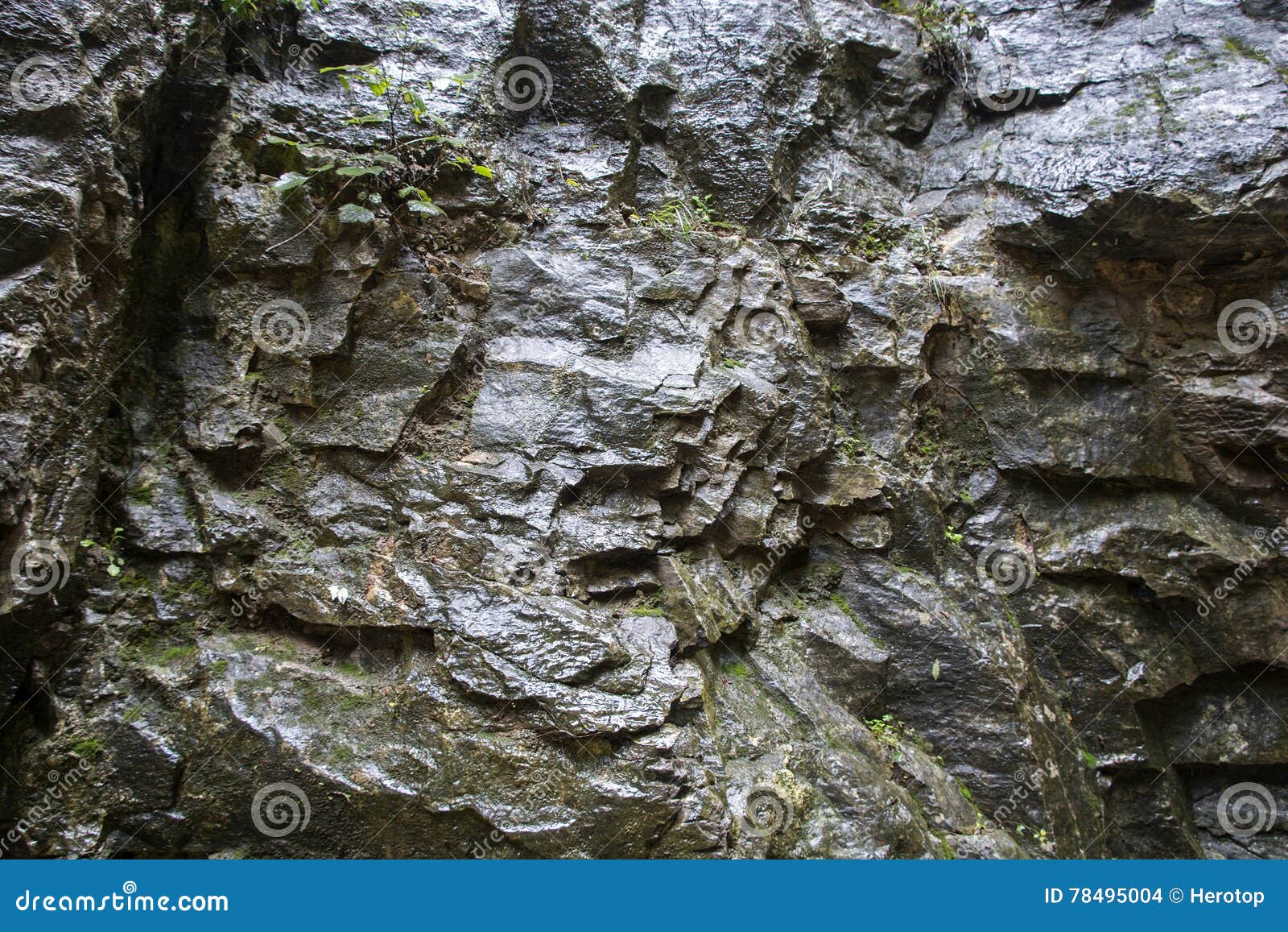 Wet rock surface stock photo. Image of reflective, rough - 78495004