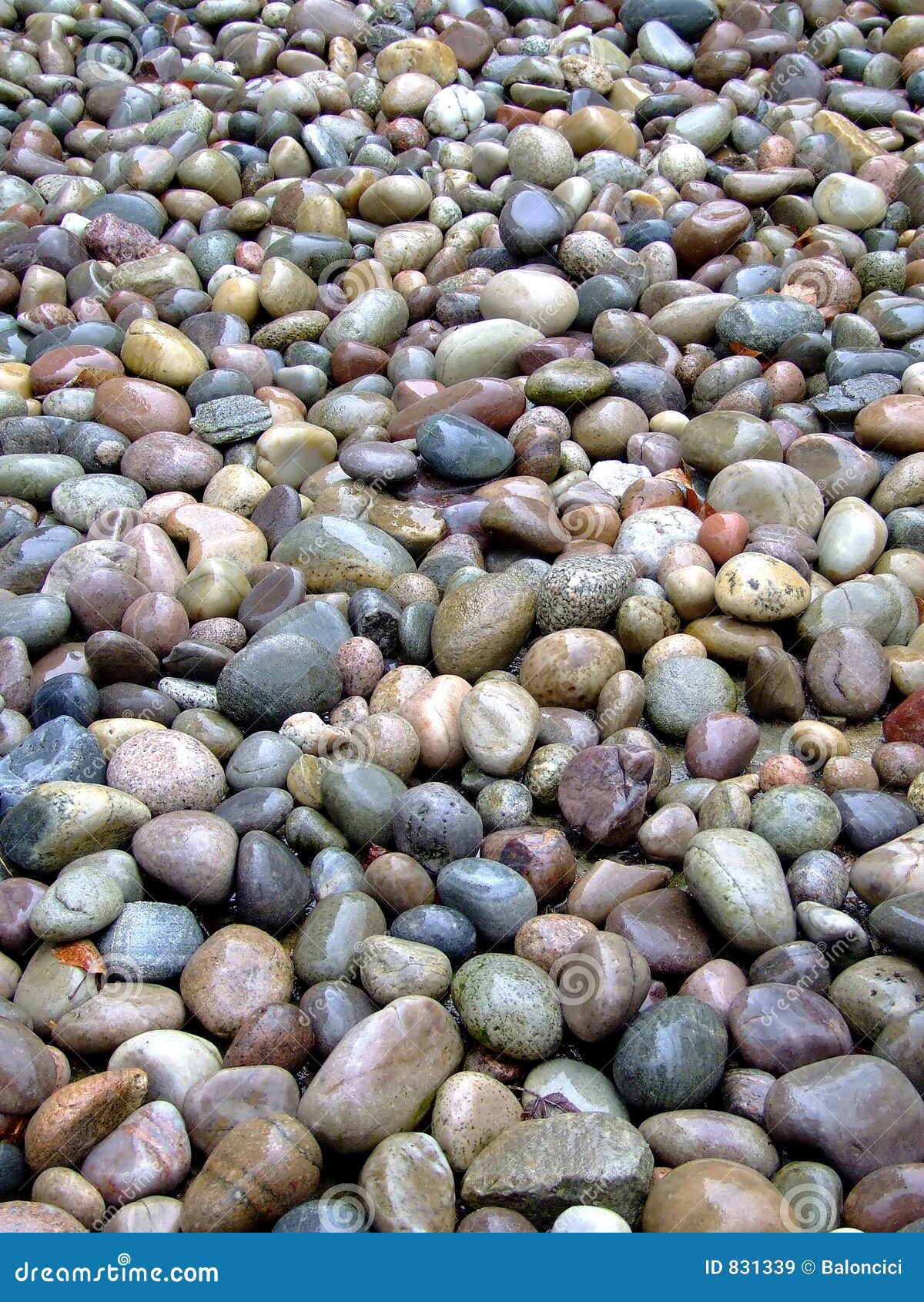 Wet rocks stock image. Image of color, rock, quarry, nature - 831339