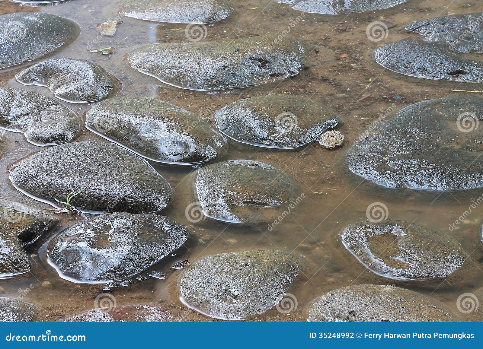 Wet rocks stock photo. Image of backdrop, collection - 35248992