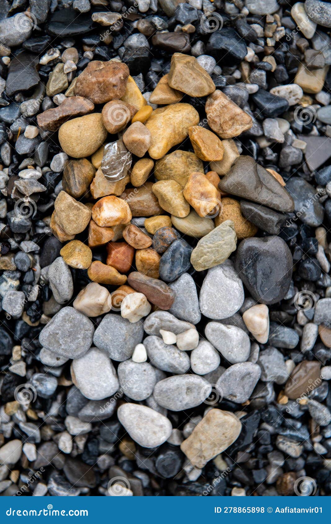 Wet Rocks in Banff with Beautiful Vibrant Colors and Patterns Stock ...