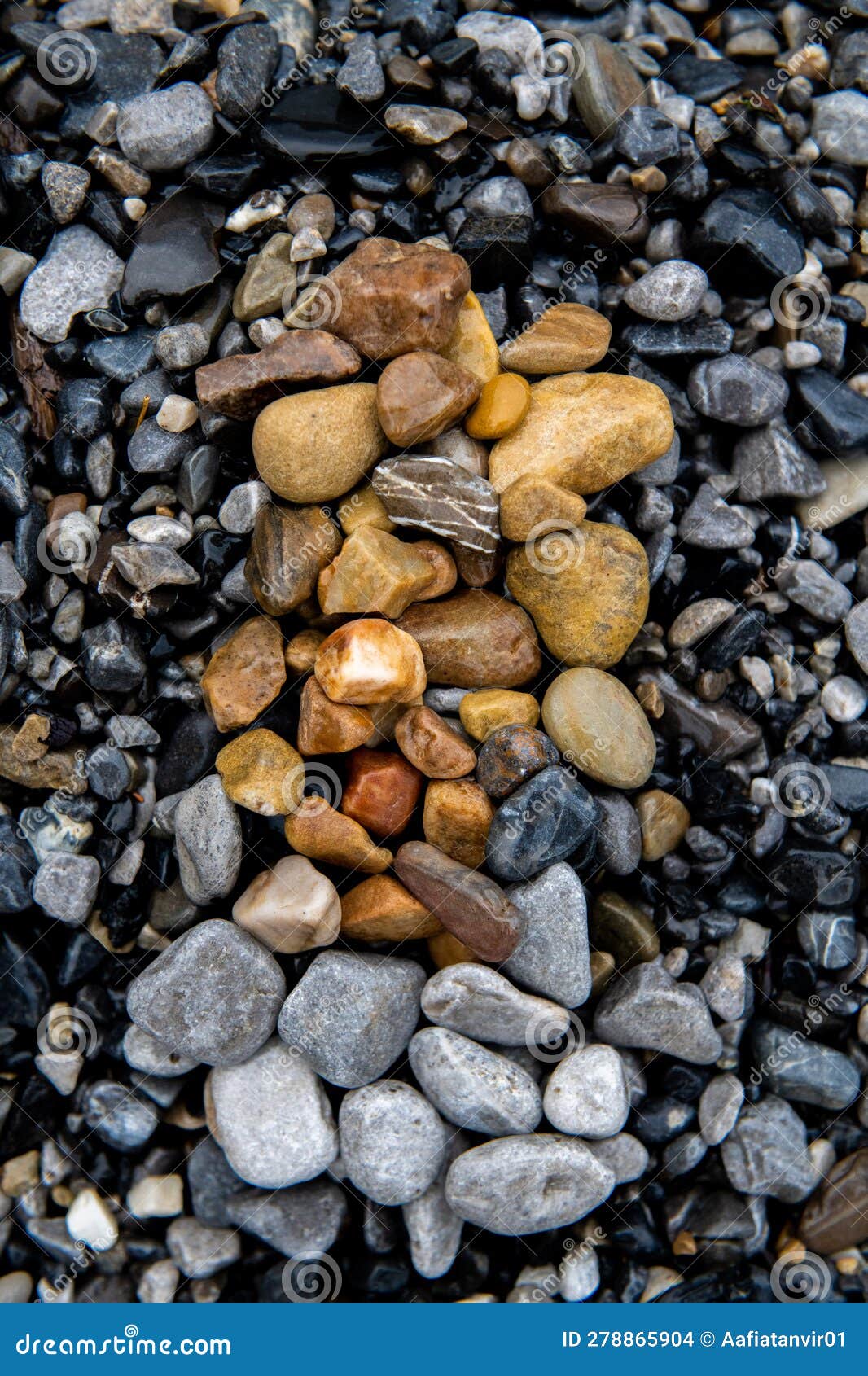 Wet Rocks in Banff with Beautiful Vibrant Colors and Patterns Stock ...