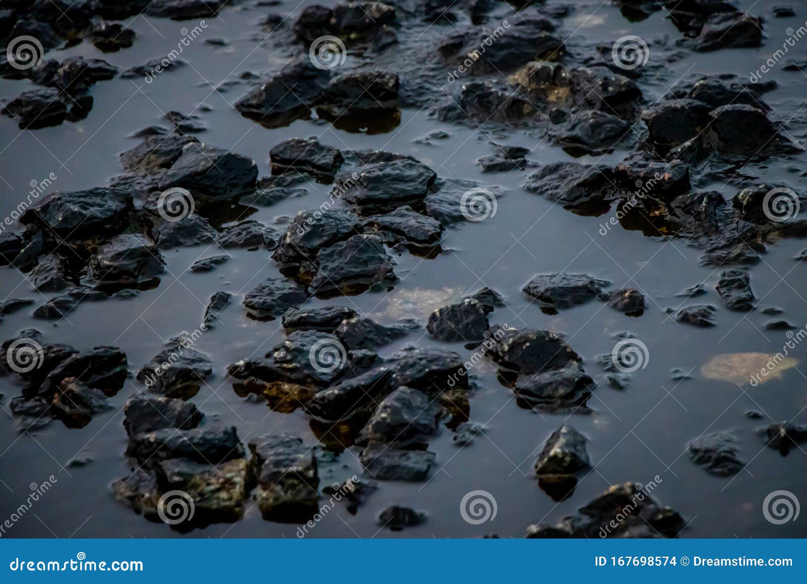 Wet rocks on the ground stock photo. Image of beach - 167698574