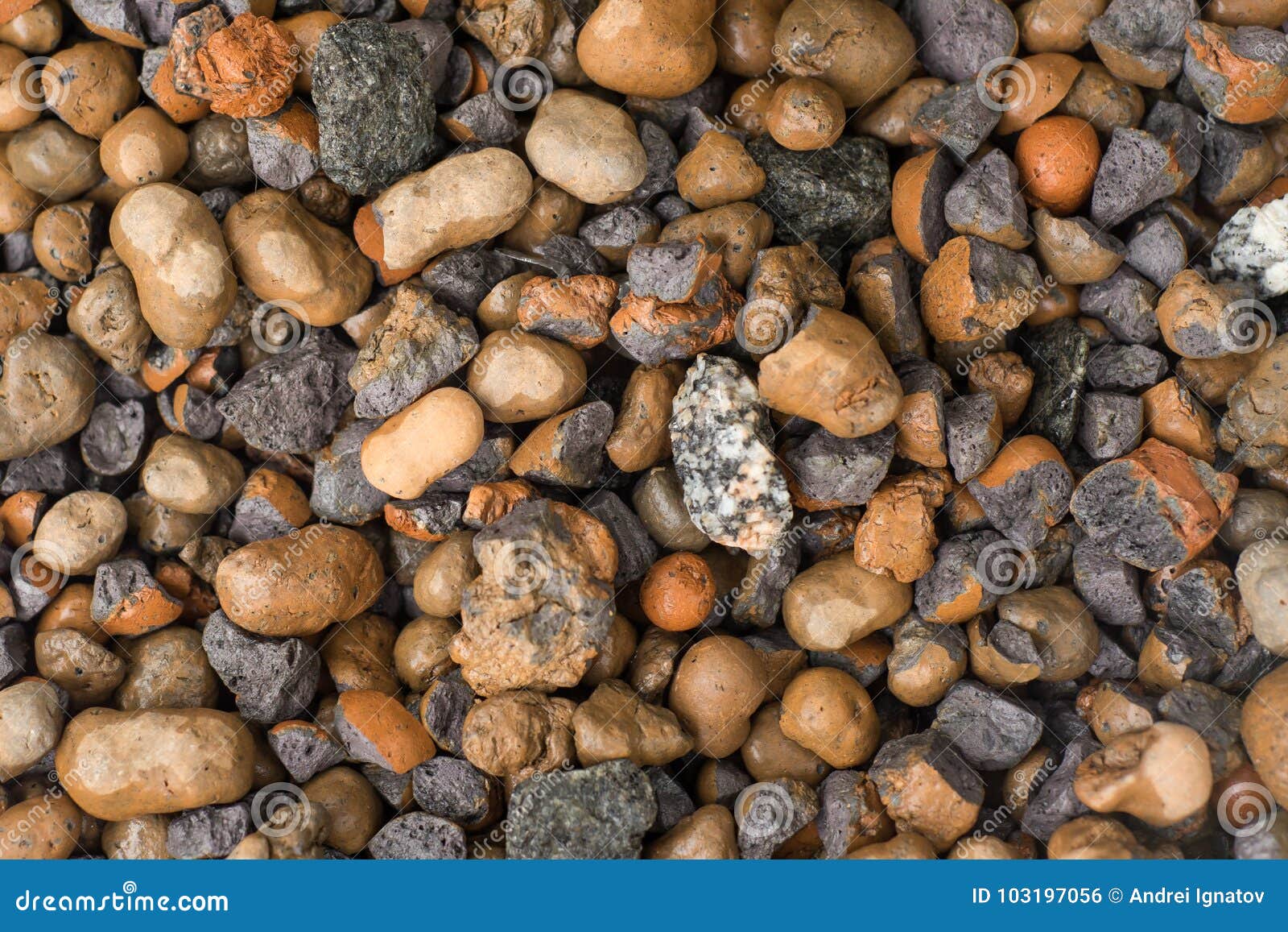 The Wet Rocks Ont the Ground after the Raining Stock Photo - Image of ...
