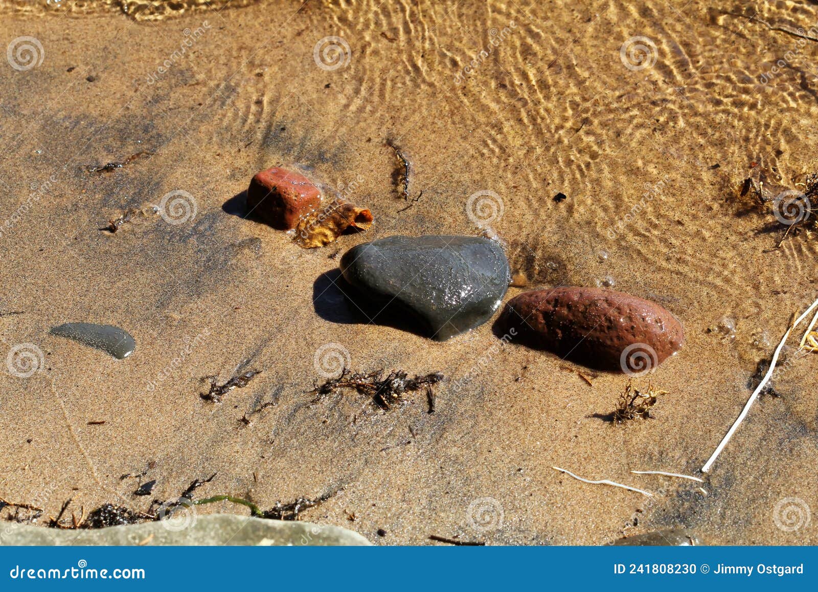 Wet Rocks on Sandy Shoreline of the St. Croix River Stock Photo - Image ...