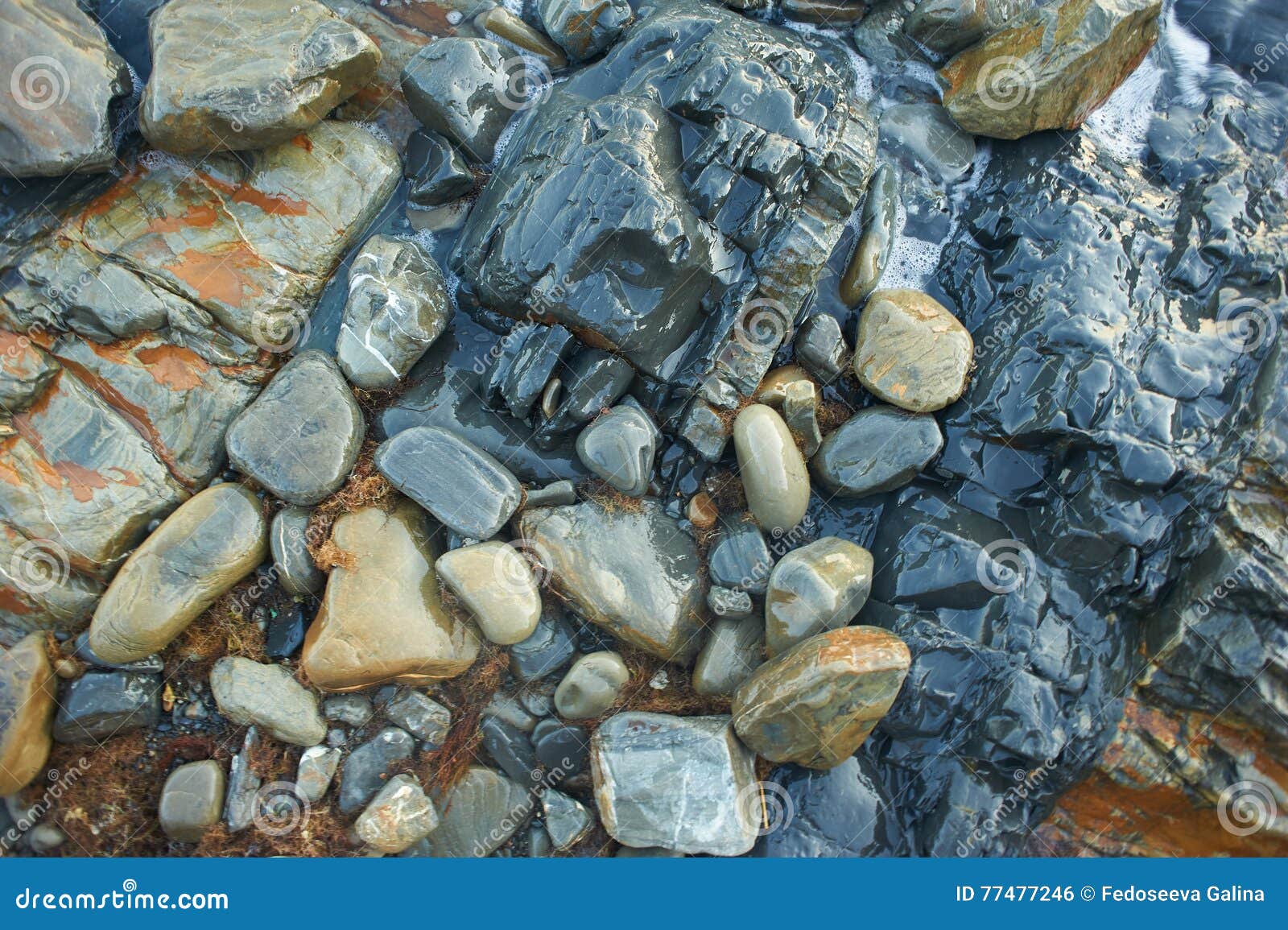 Wet Rocks in the Sea , Pushed by a Wave. Summer, Stock Photo - Image of ...
