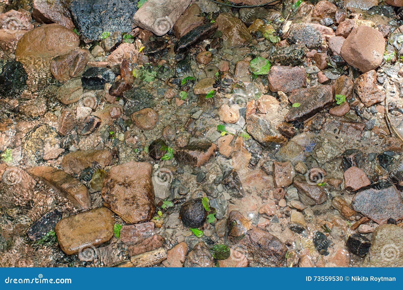 Wet rocks stock photo. Image of pattern, background, sand - 73559530