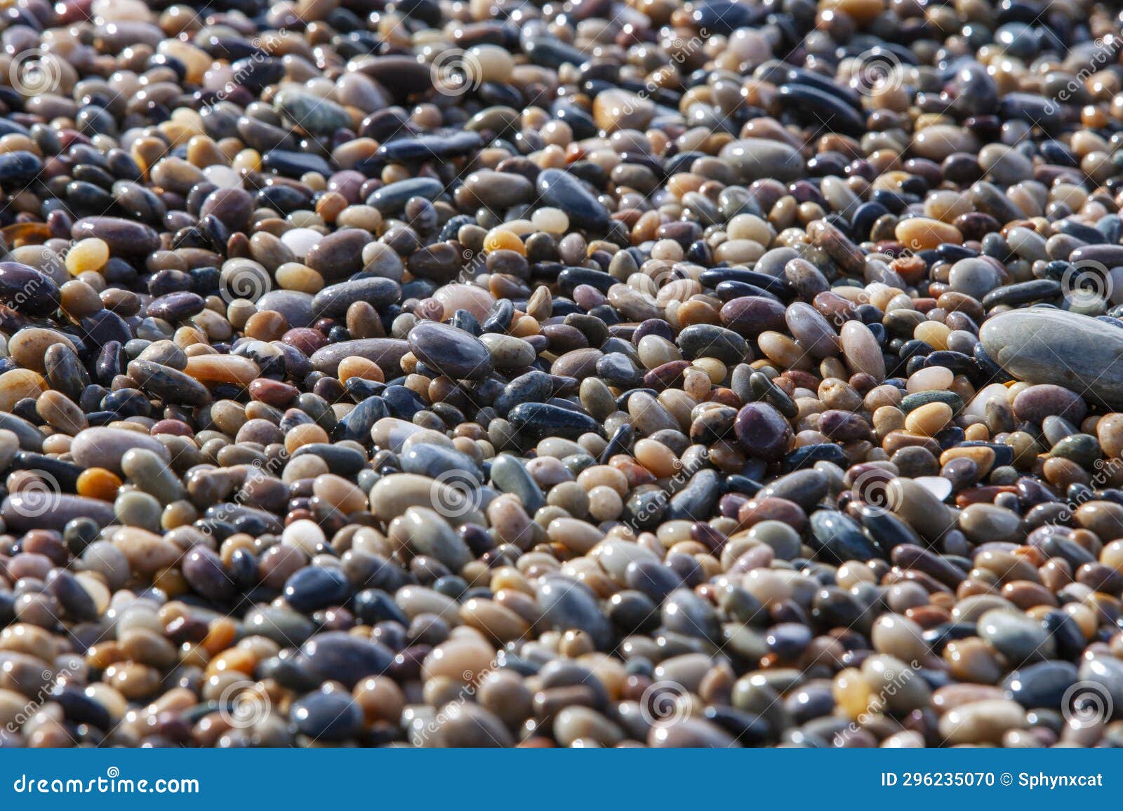 Wet Rolled Round Beach Pebbles Stones, Natural Background, Texture ...