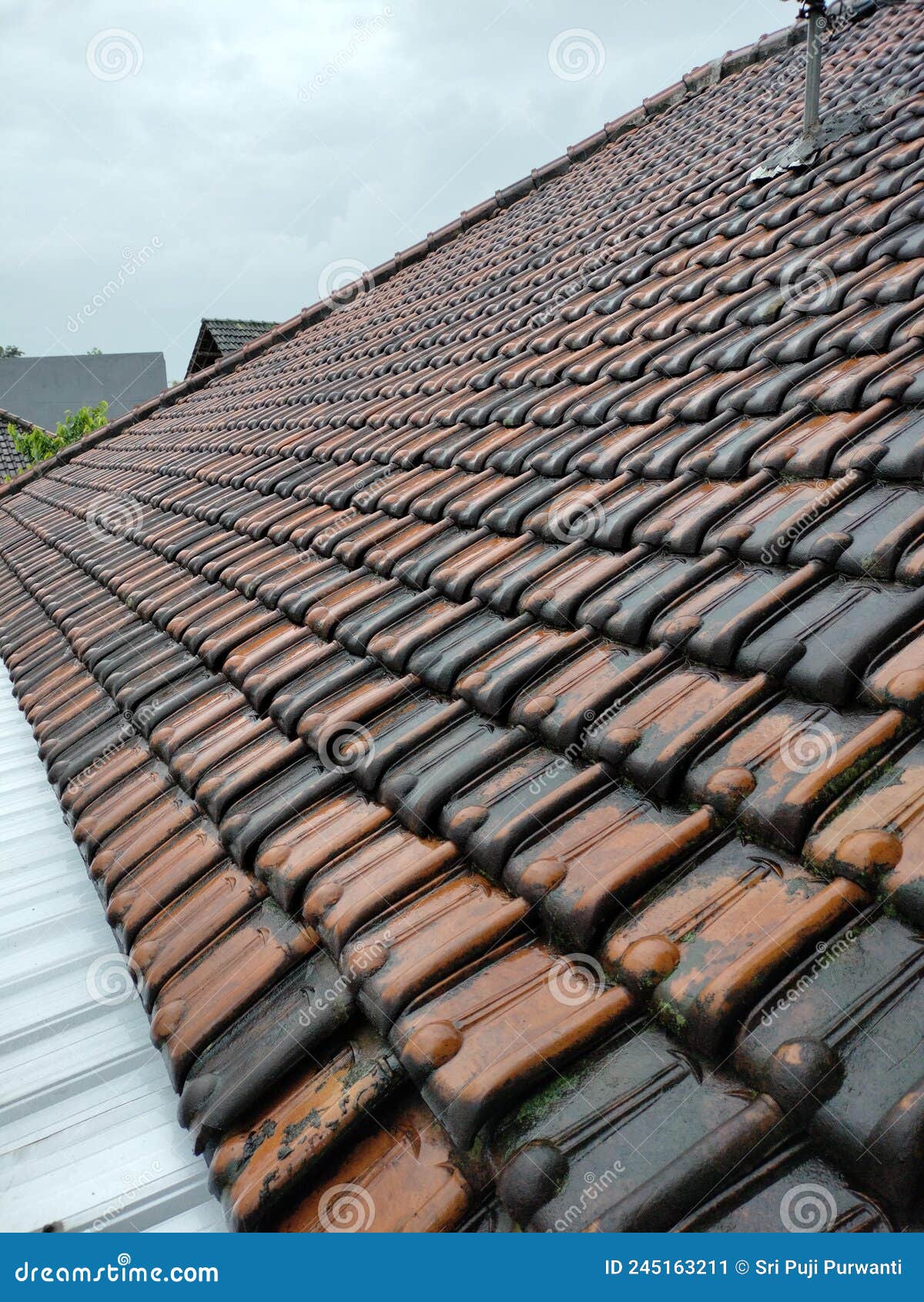 Wet Roof after Rain in Afternoon Stock Image - Image of roof, rain ...
