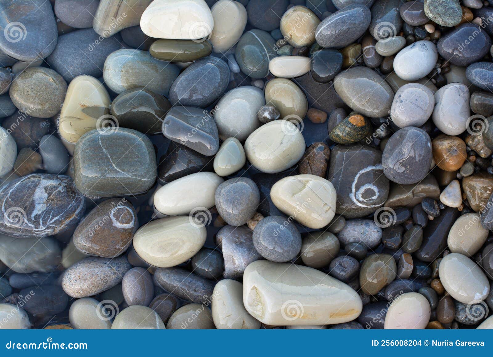 Wet Round Pebbles. Background with Round Pebble Stones. Stones Beach ...