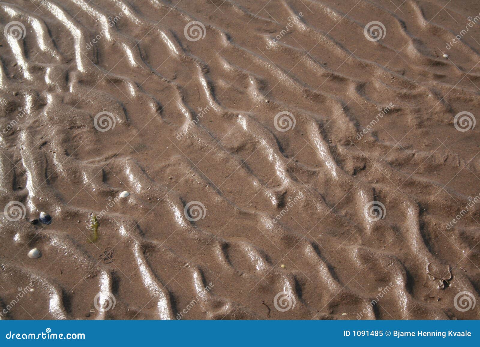 Wet sand stock image. Image of brown, surface, moist, texture - 1091485