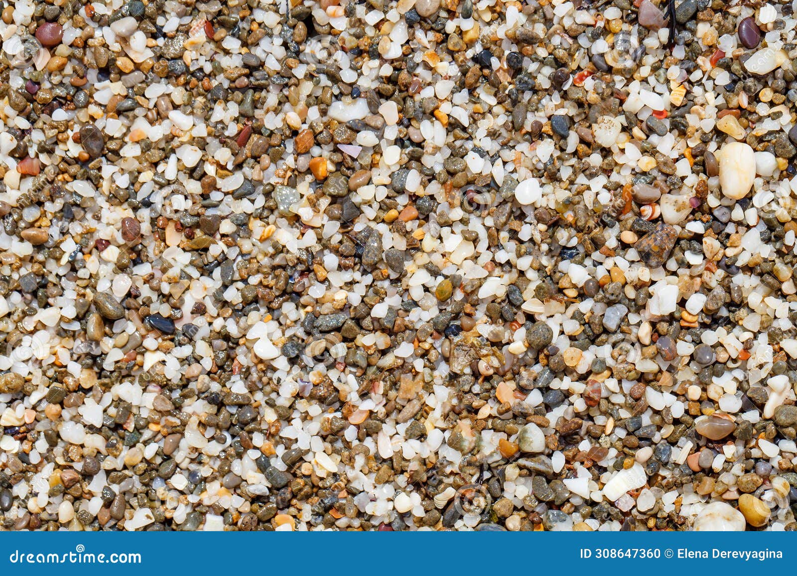 Wet Sand, Grains of Sand Close-up, Uniform Texture Background Stock ...