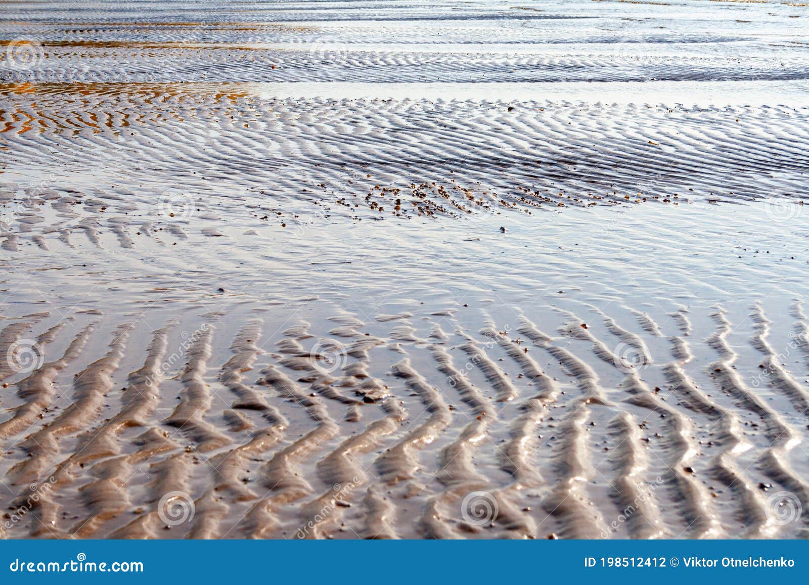 Wet Sand after Low Tide on the Beach Stock Photo - Image of ocean ...
