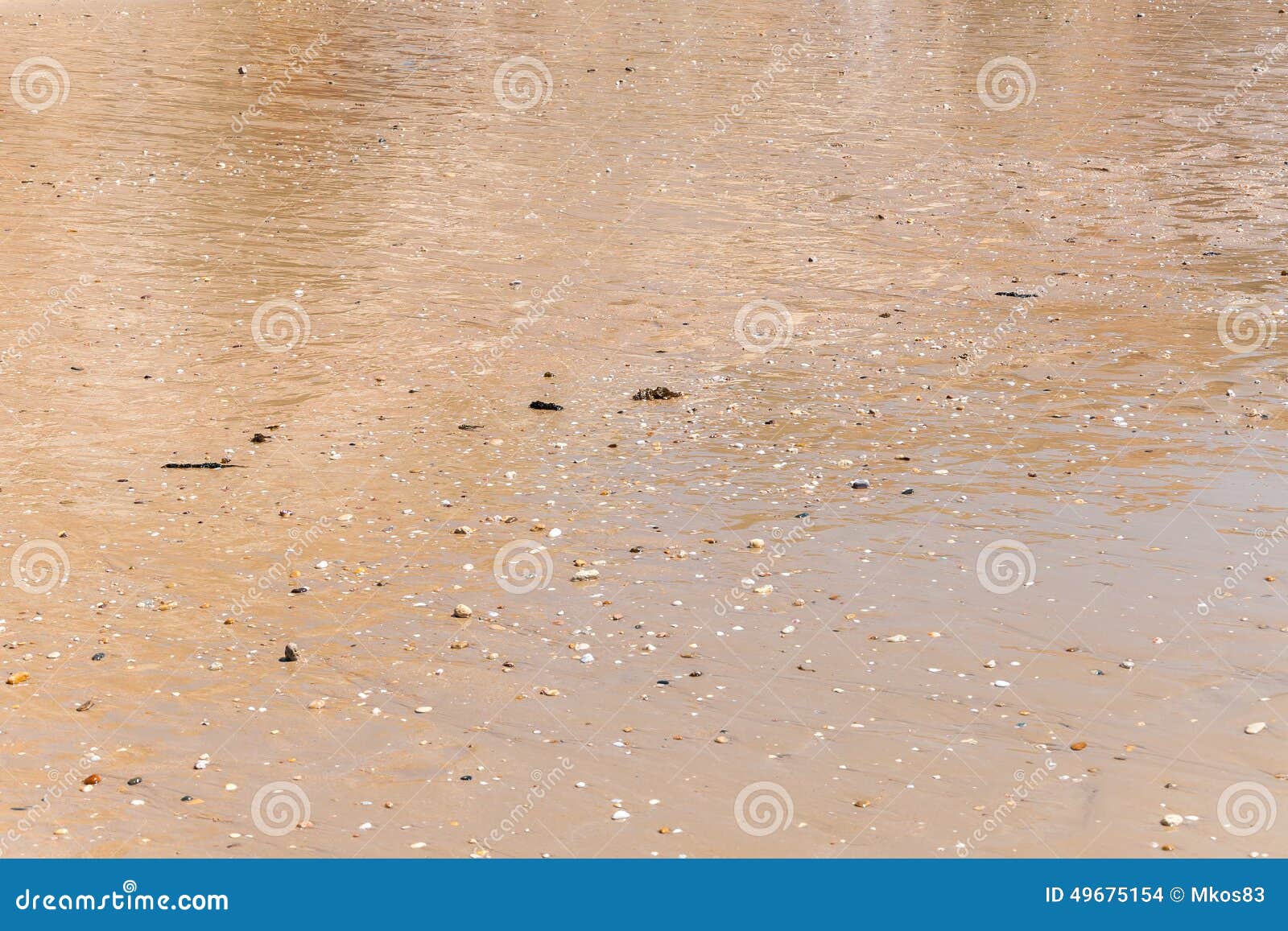 Wet Sand and Pebbles Background Stock Photo - Image of seaside, closeup ...
