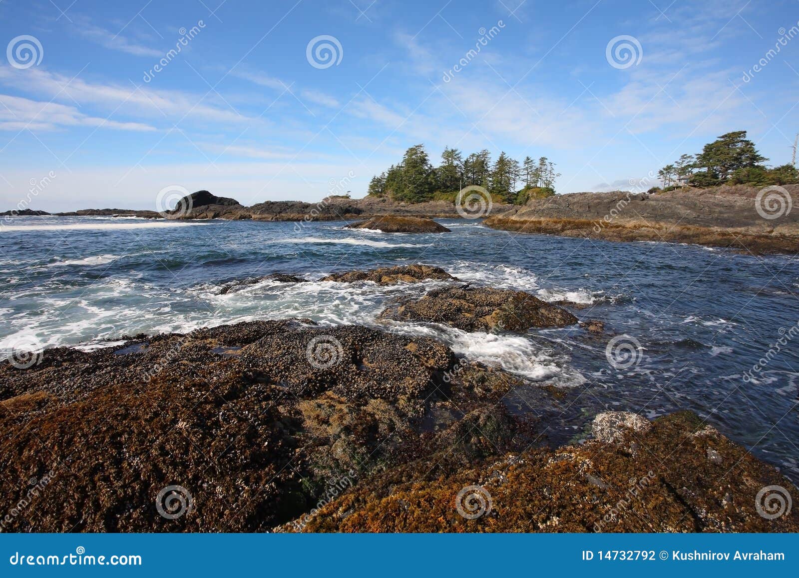 The wet sand and puddles stock photo. Image of boulder - 14732792