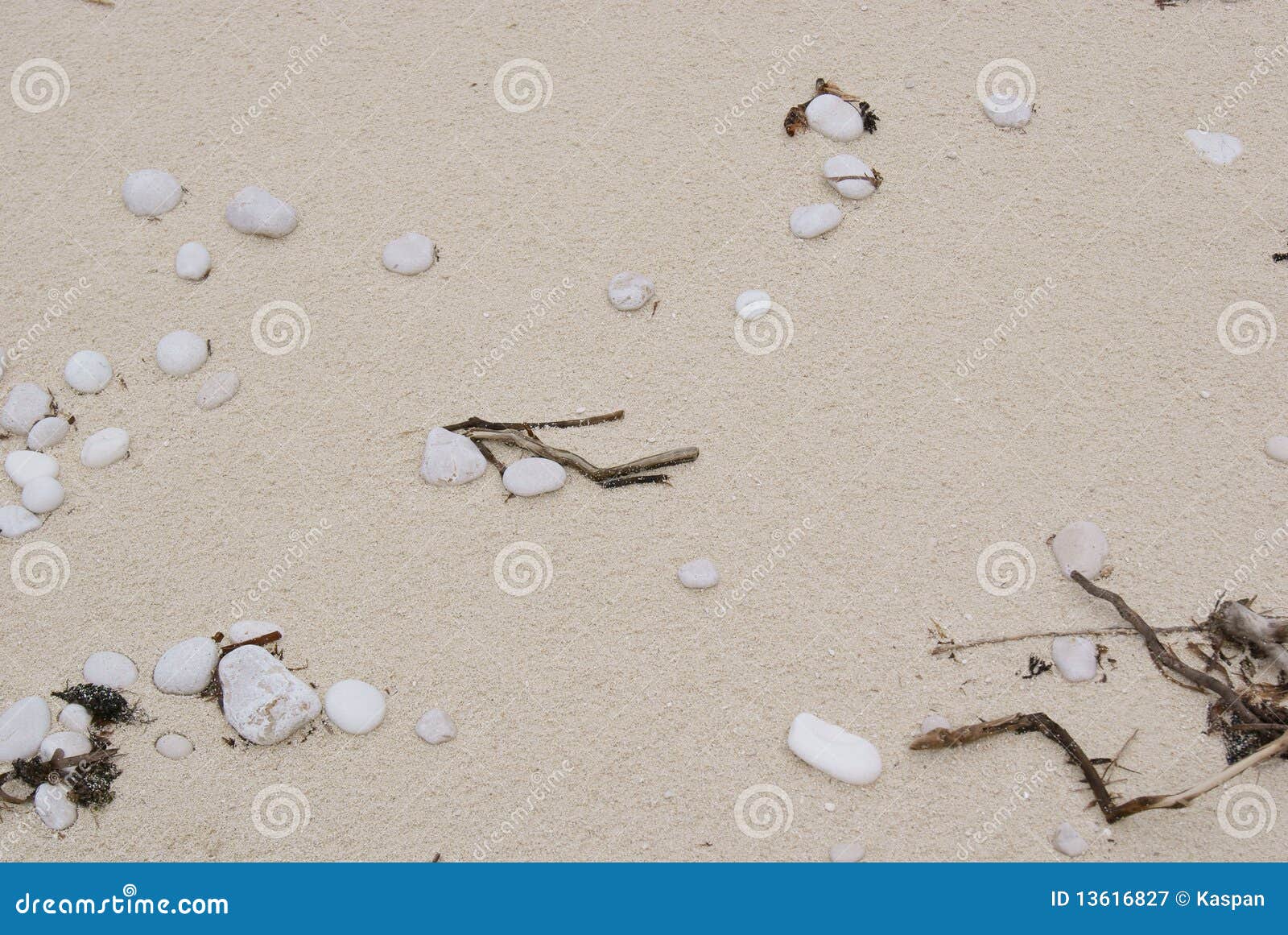 Wet sand and rocks stock image. Image of abstract, seaweed - 13616827