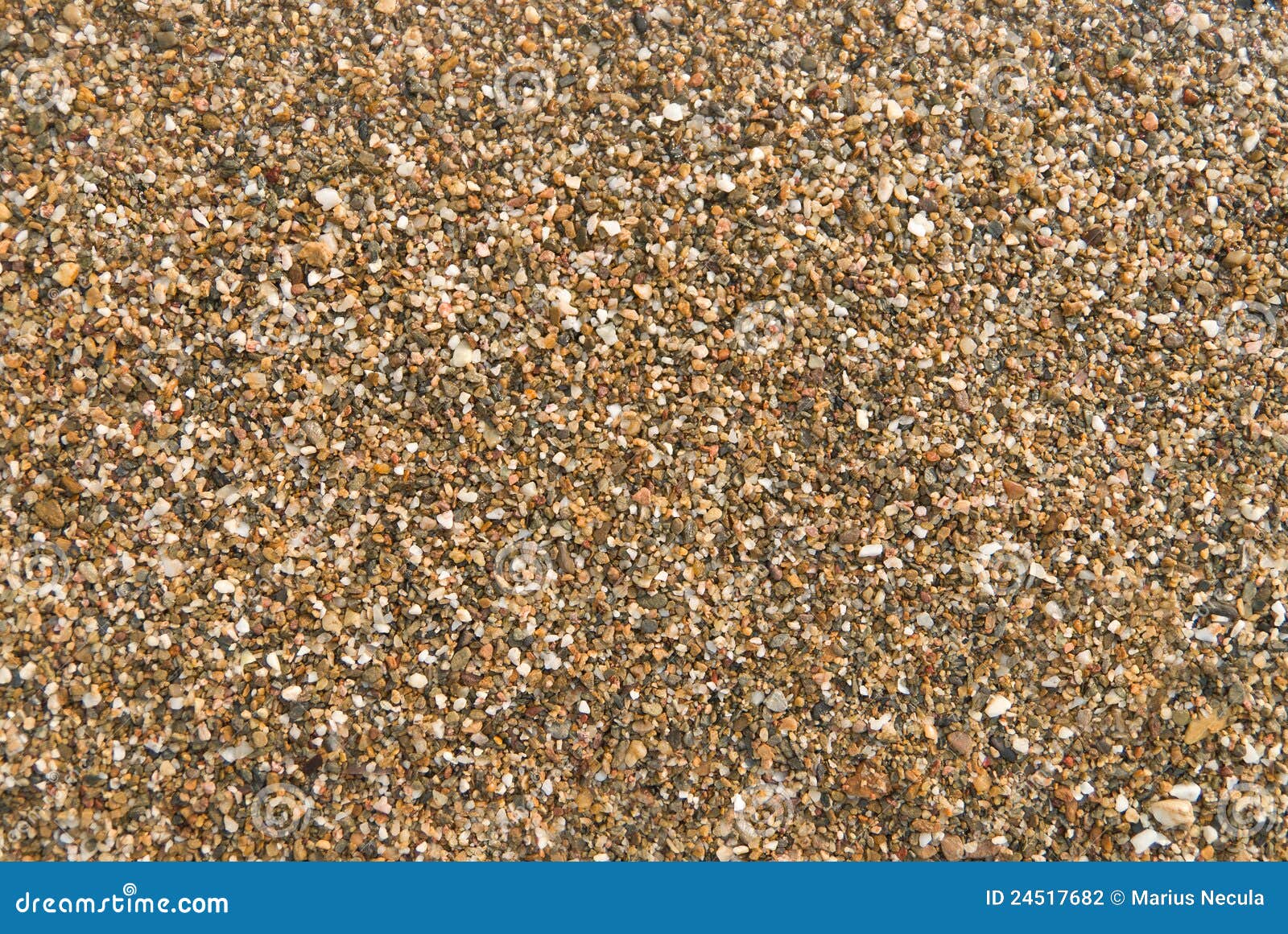 Wet sand texture stock photo. Image of pebble, sand, holiday - 24517682