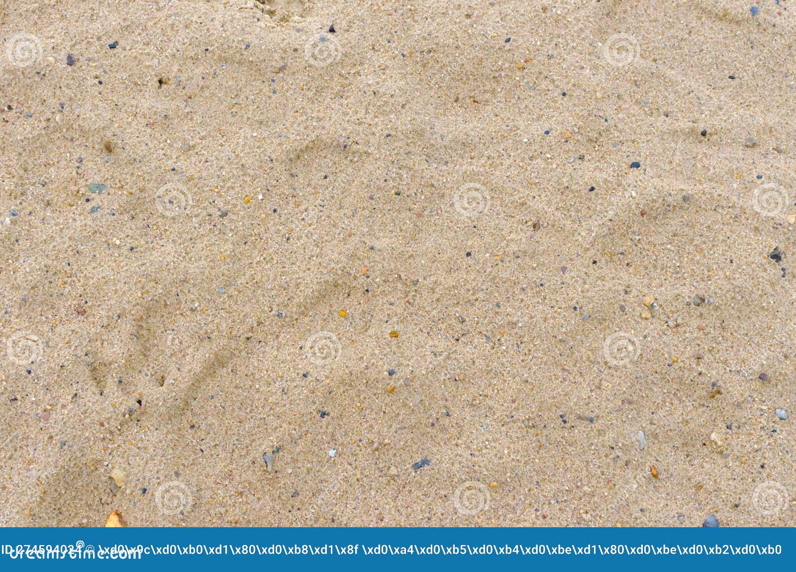 Wet sand texture top view stock photo. Image of coast - 274594024