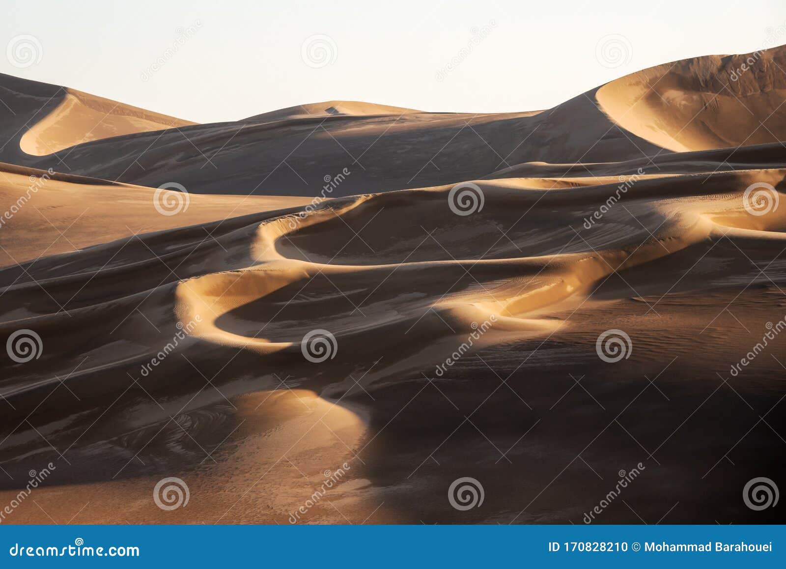 Wet sands in desert stock photo. Image of earth, sands - 170828210
