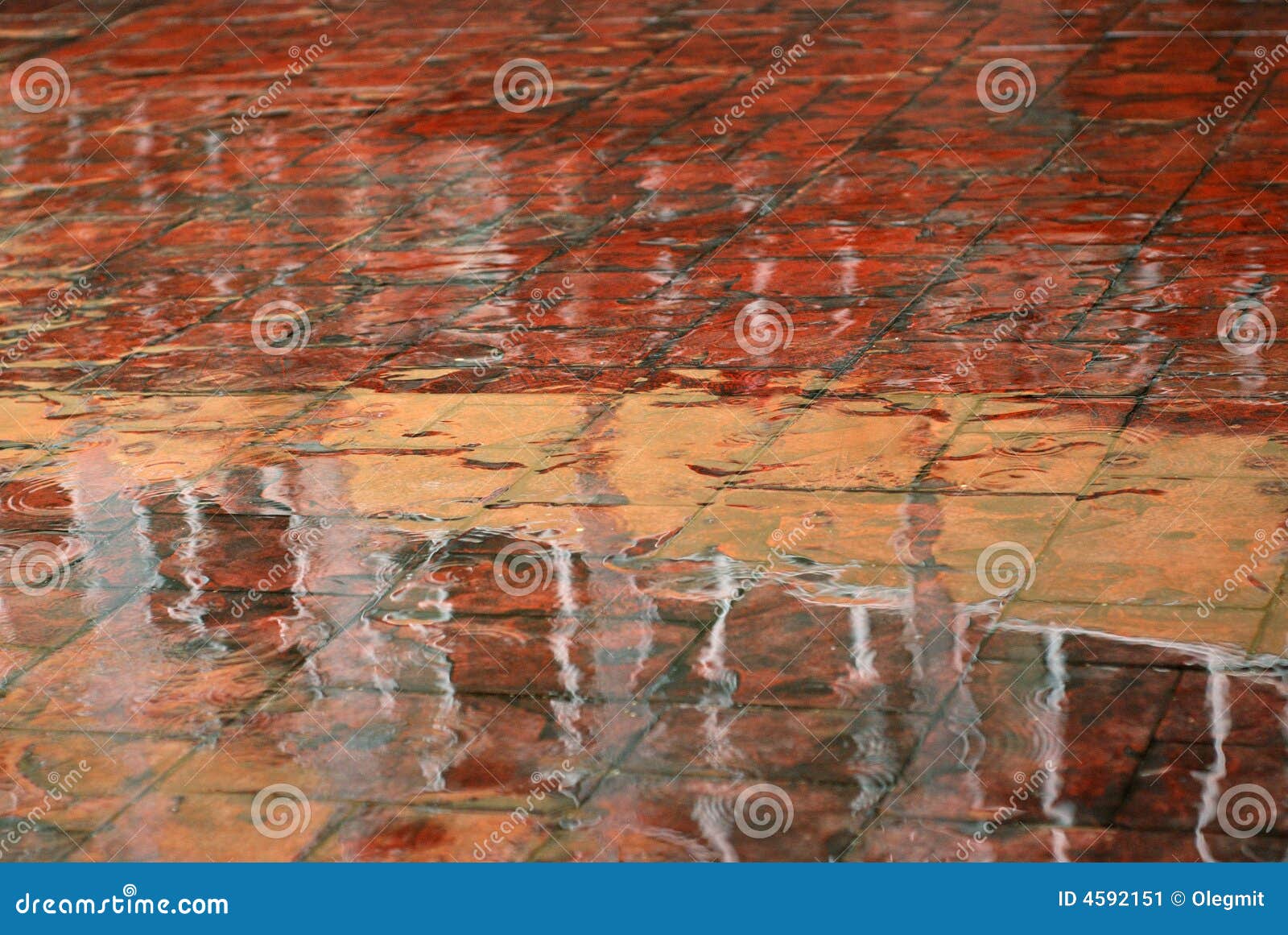 Wet Shining Surface of Red Pavement Stock Image - Image of outdoors ...