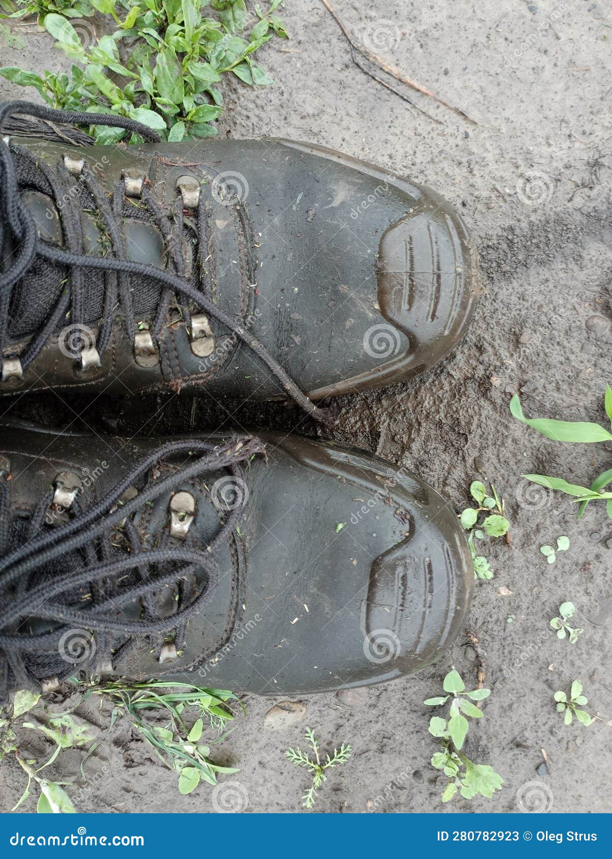Wet Shoes. Old Brown Boots that Got Wet in the Rain Stock Image - Image ...