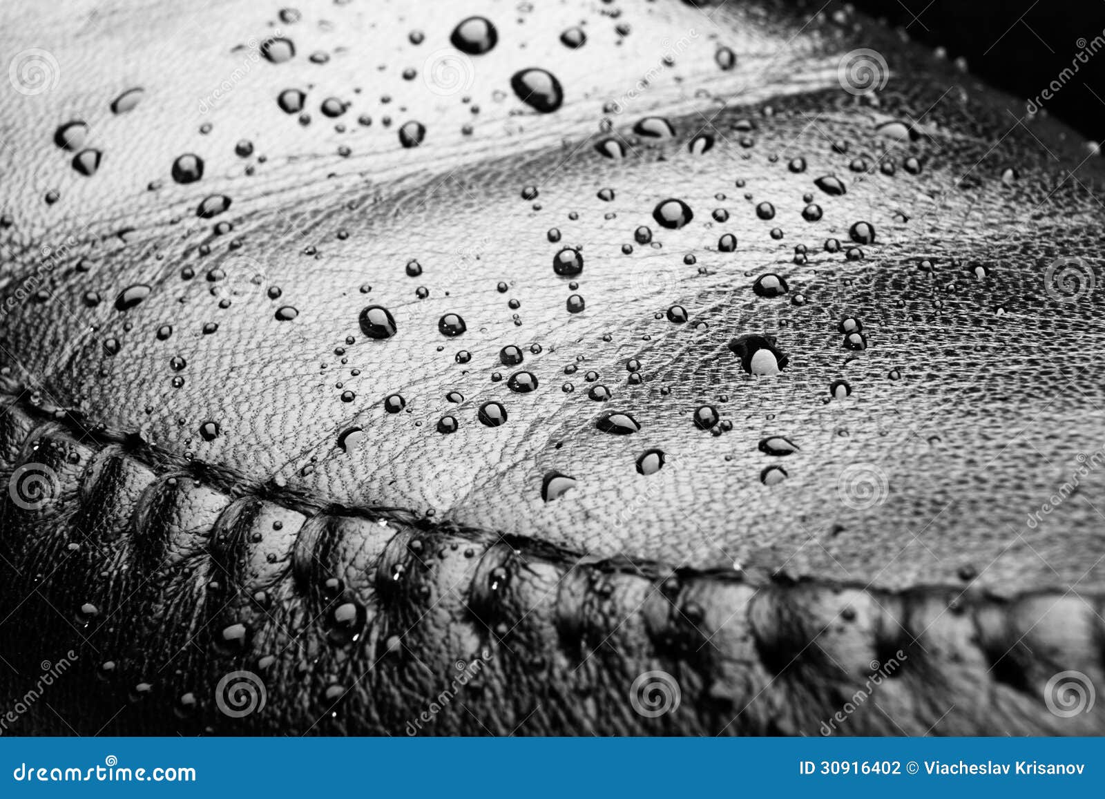 Wet Shoes stock photo. Image of cool, beauty, objectsequipment - 30916402