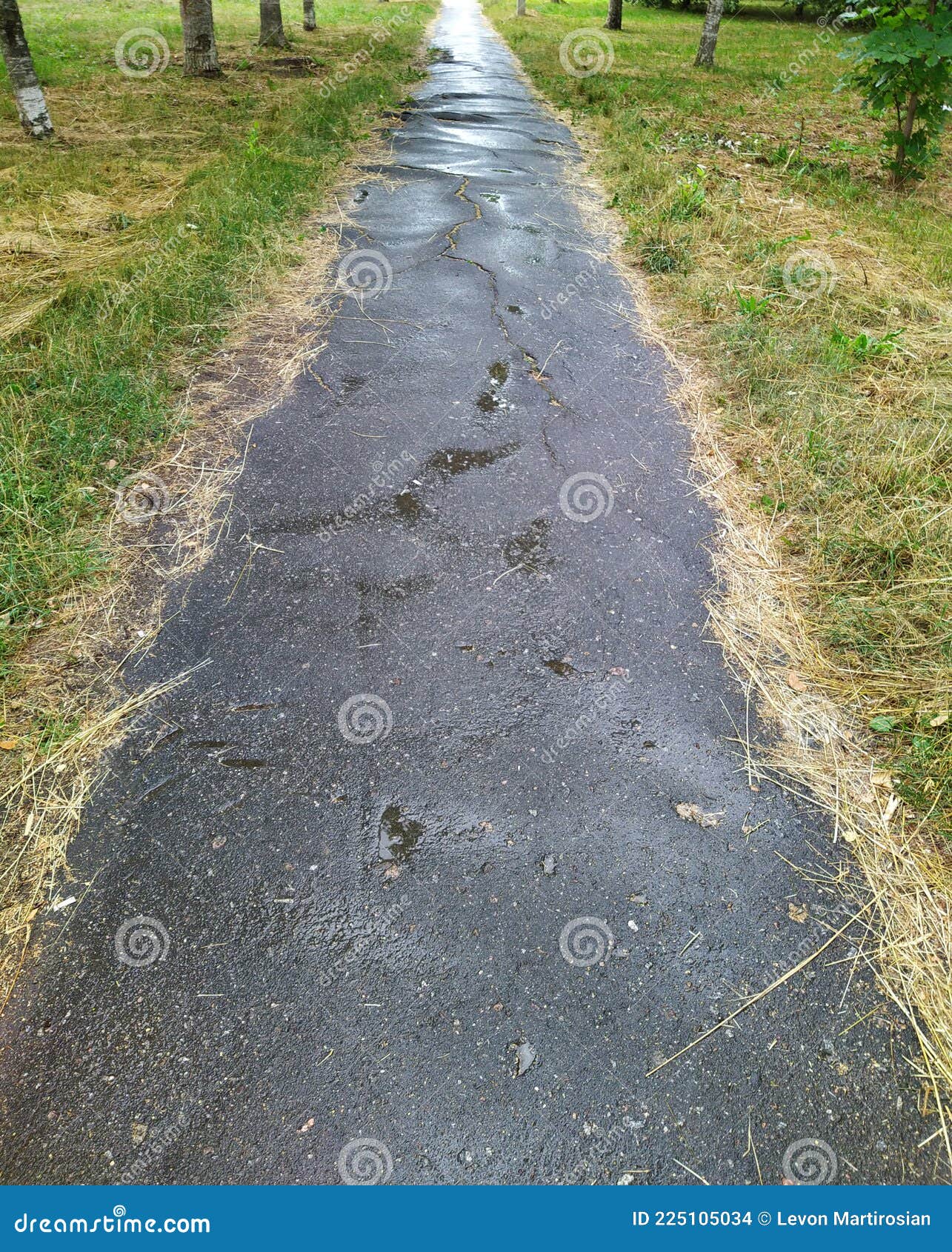 Wet Sidewalk in the Park after Rain in the Summer during the Day. Stock ...