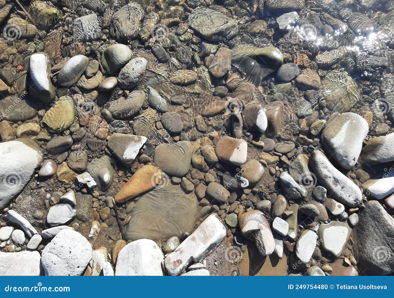 Wet Smooth Mountain River Rocks Stock Photo - Image of gravel, detail ...