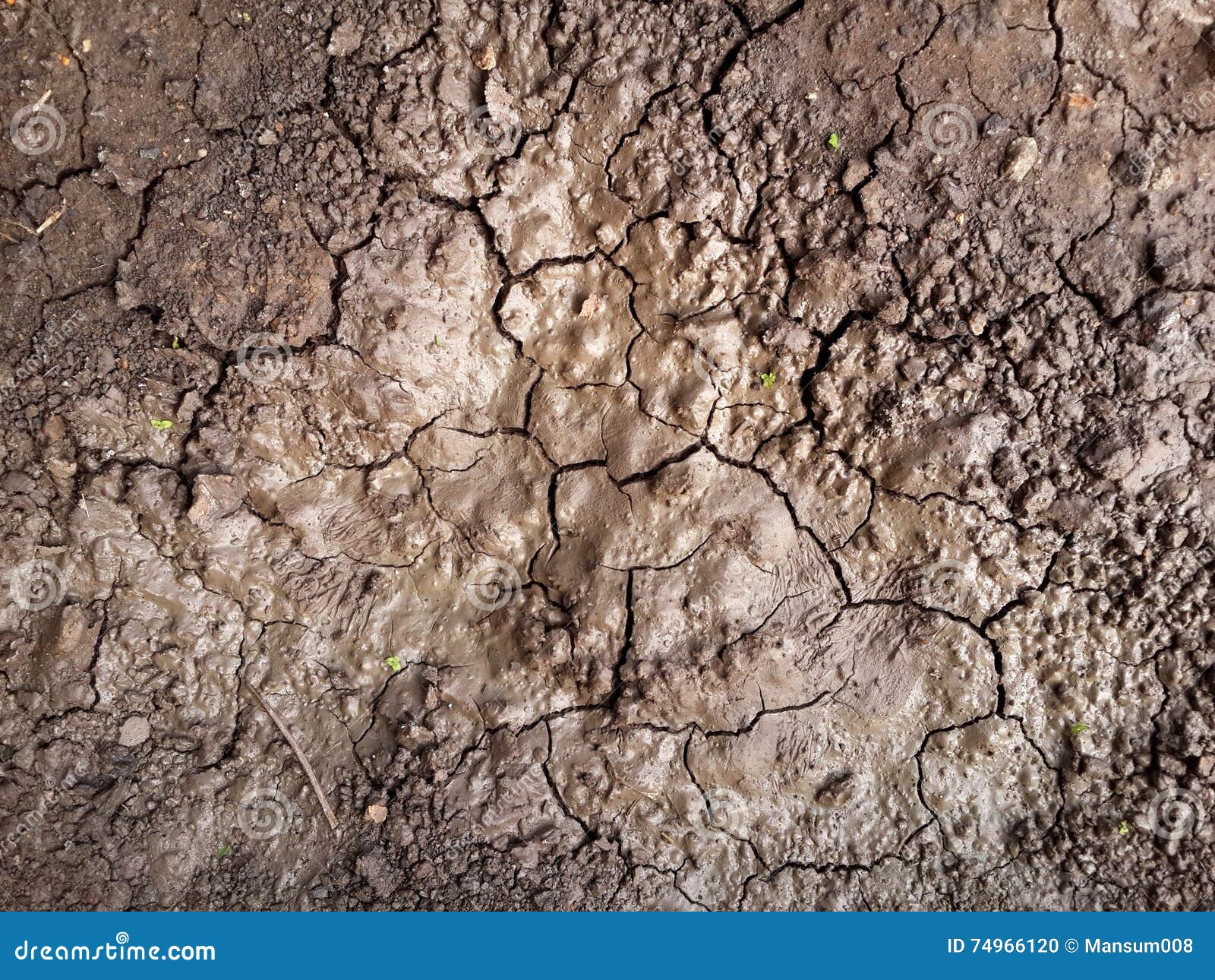 Wet soil stock photo. Image of nature, soil, rough, rugged - 74966120