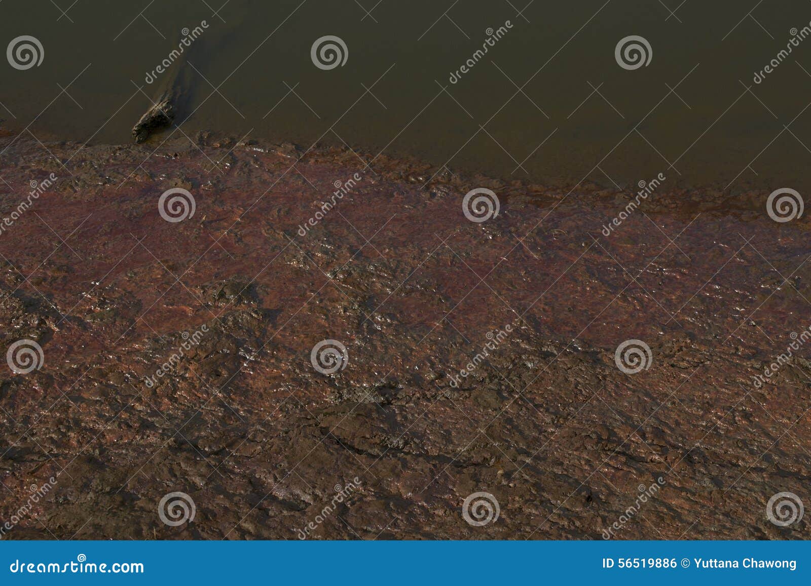 Wet soil stock photo. Image of moist, earth, clod, soggy - 56519886