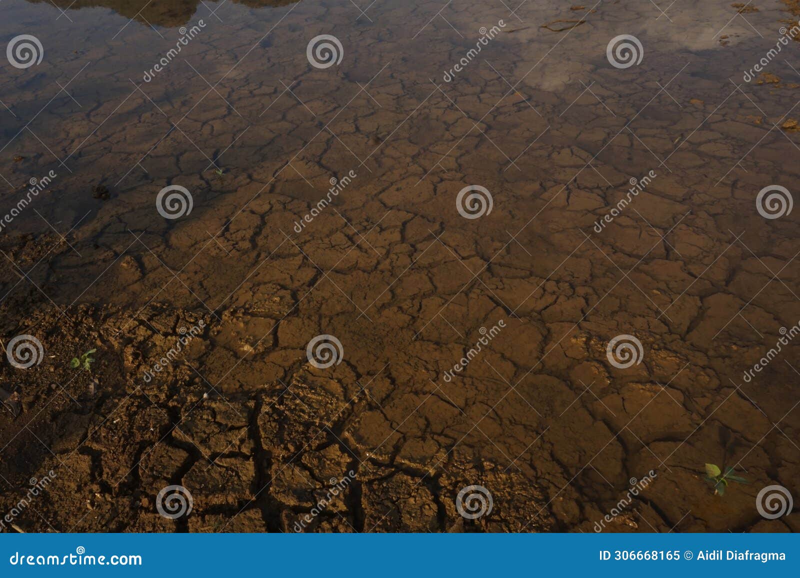 Wet Soil Texture on the Edge of the Lake Stock Image - Image of drone ...