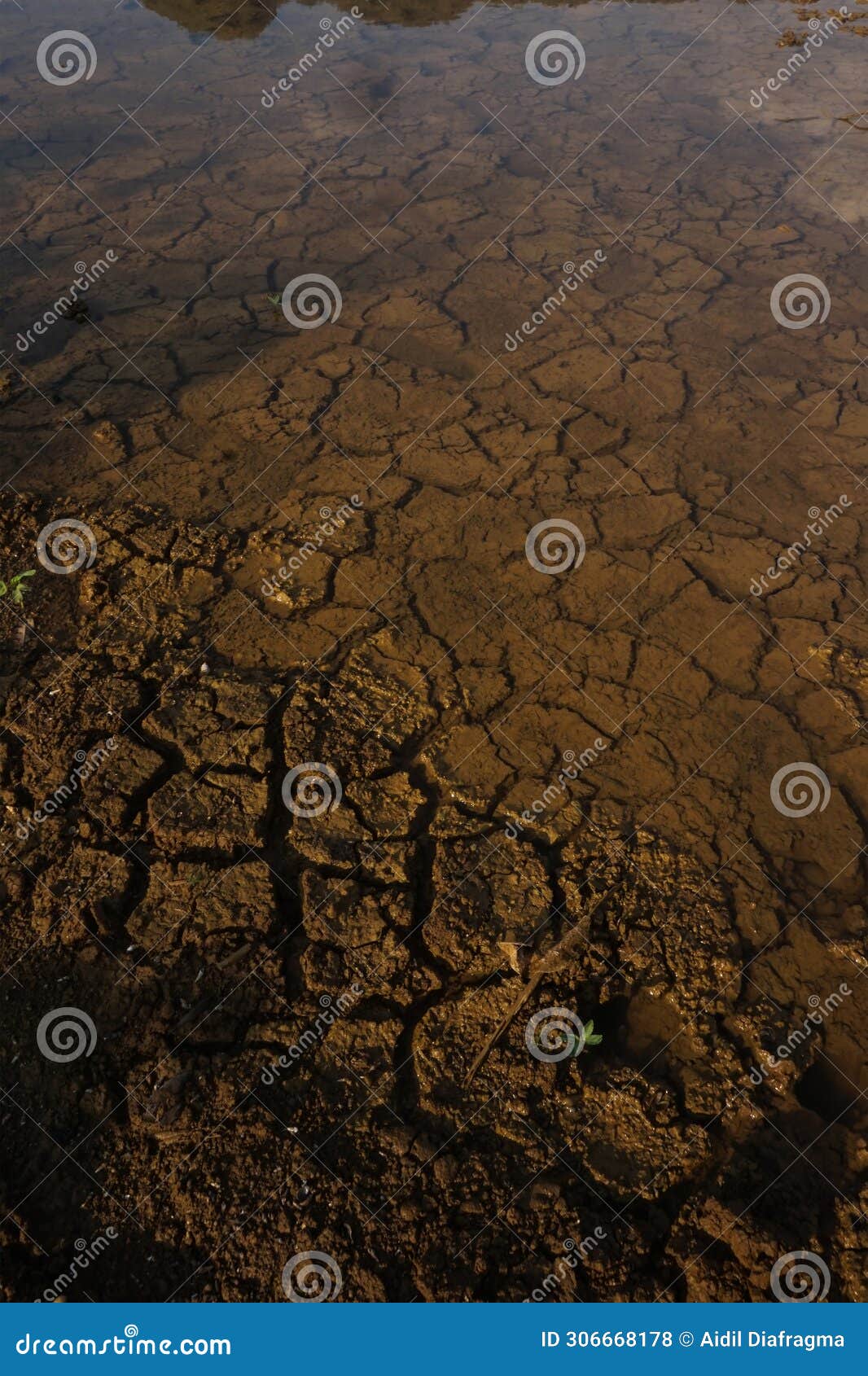 Wet Soil Texture on the Edge of the Lake Stock Photo - Image of color ...