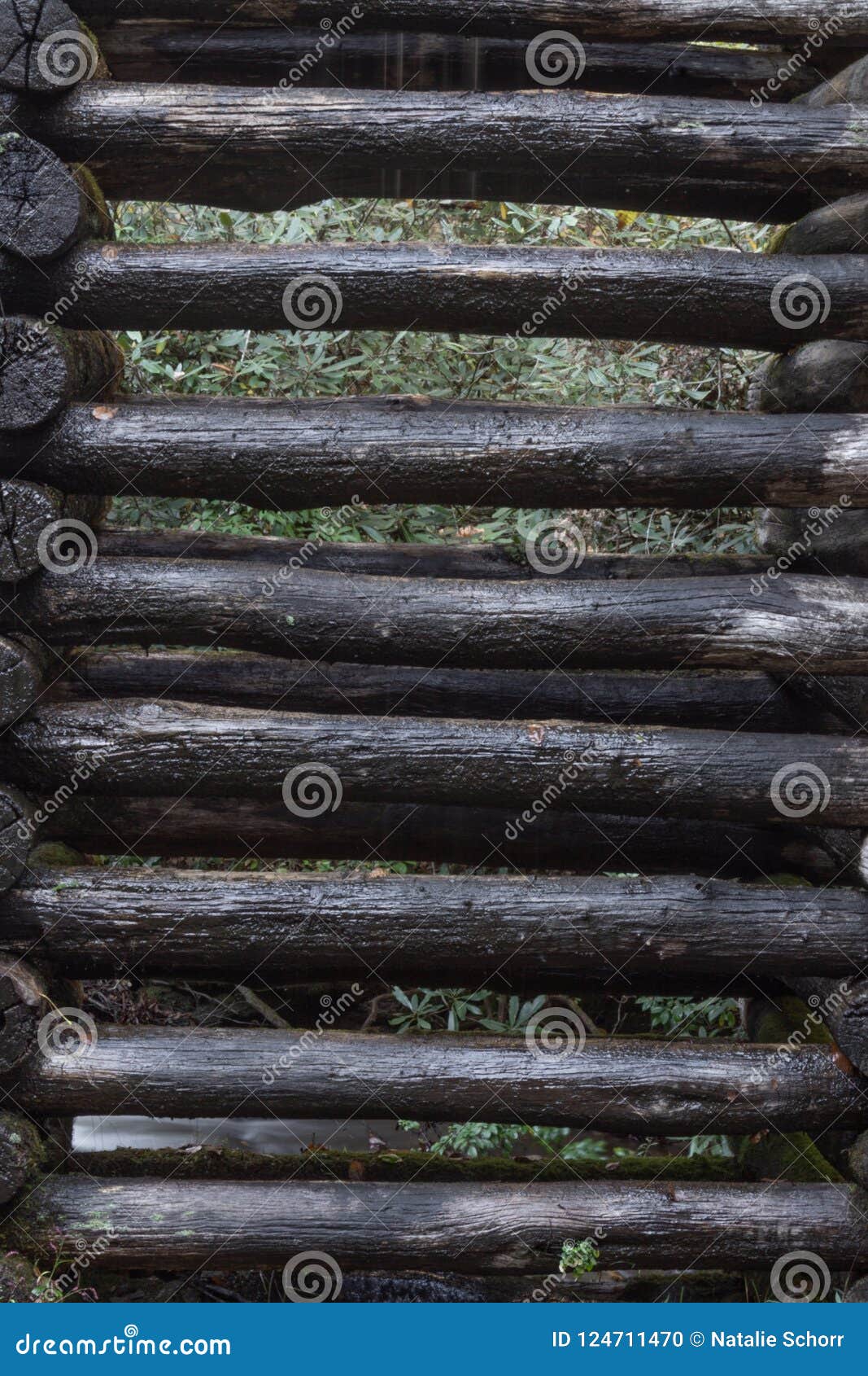 Wet Stacked Logs Supporting a Mill Sluice, Appalachian Scene Stock ...