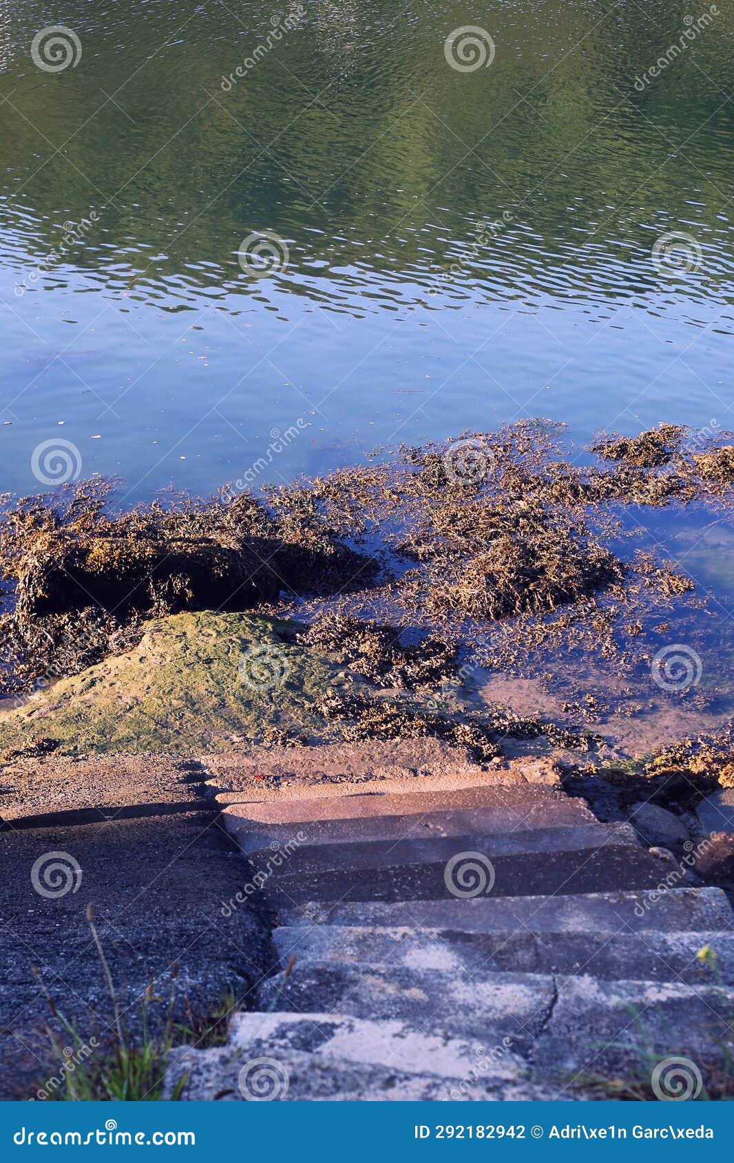 Wet steps stock photo. Image of copy, land, horizon - 292182942