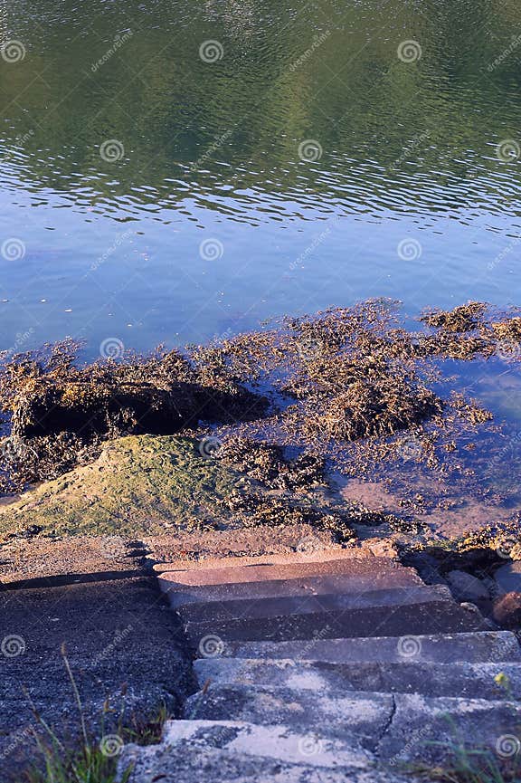 Wet steps stock photo. Image of copy, land, horizon - 292182942