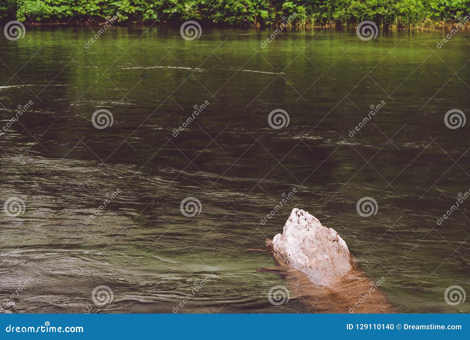 Wet stone by lake shore stock photo. Image of landscape - 129110140
