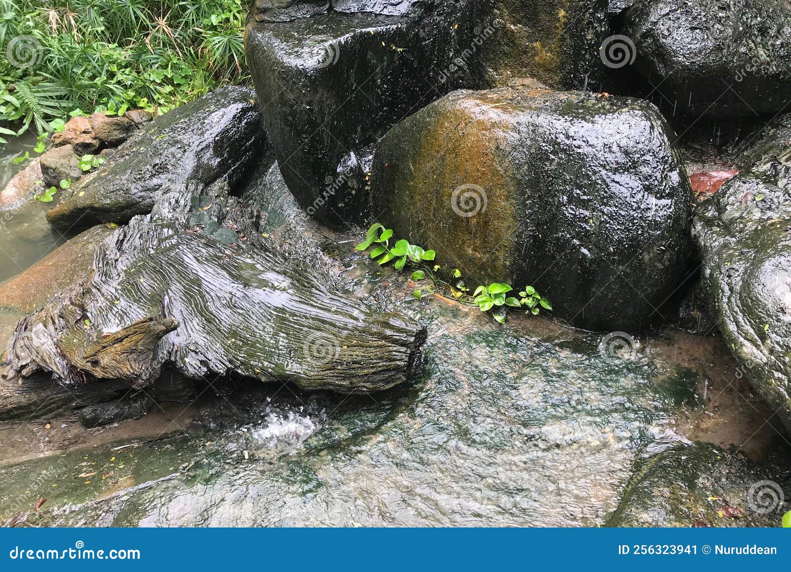 Wet stone near a waterfall stock image. Image of stream - 256323941