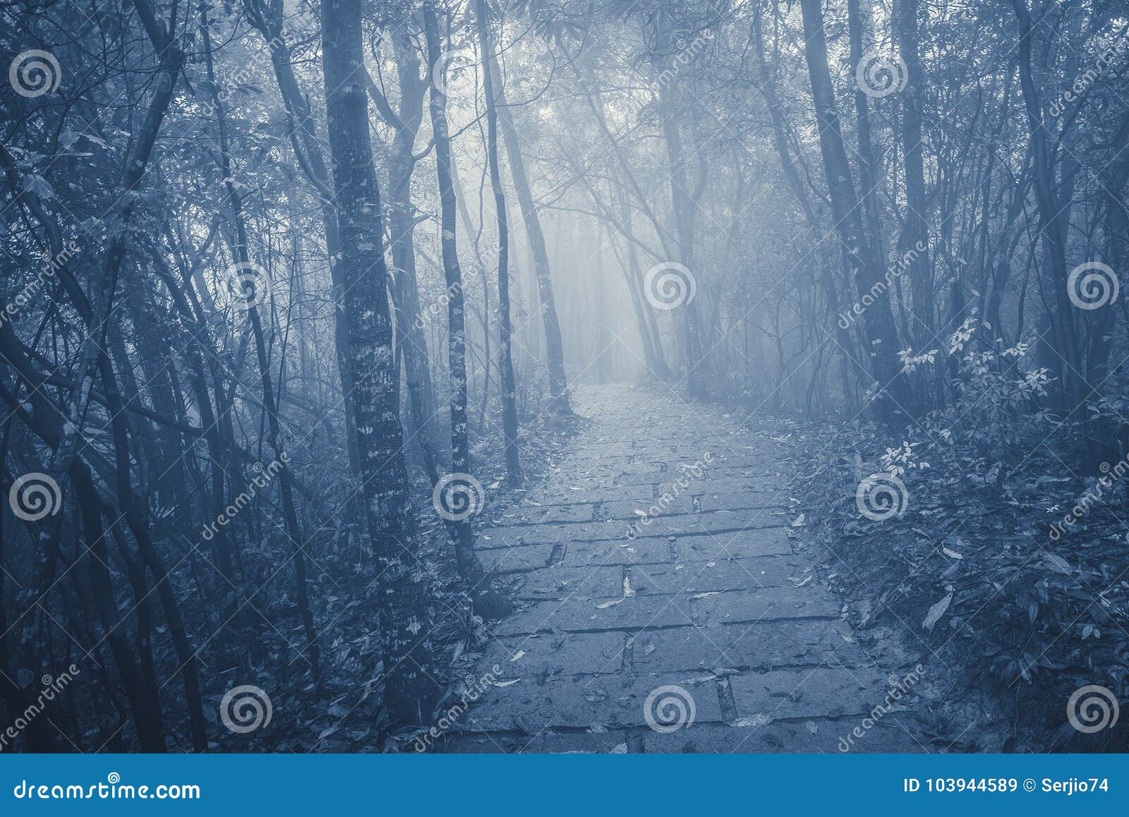 Wet stone path. stock image. Image of mood, park, chinese - 103944589