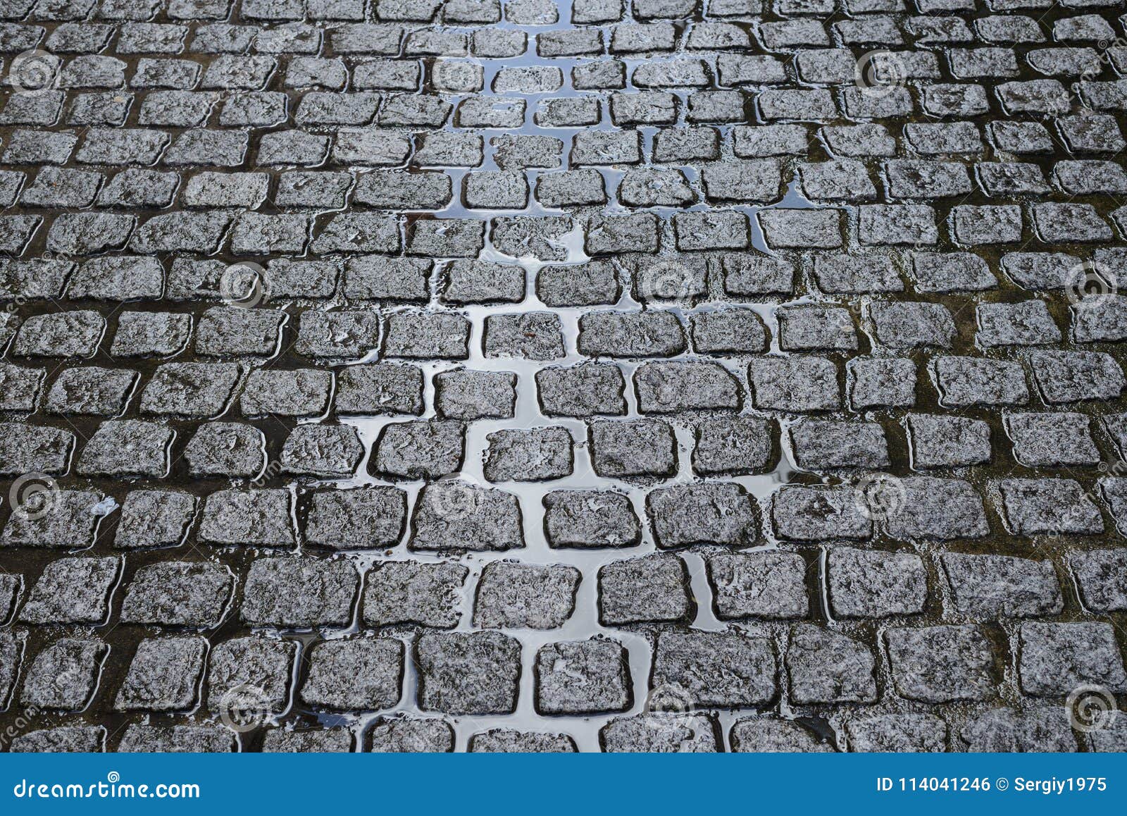 Wet Stone Pavement after Rain Stock Photo - Image of construction ...