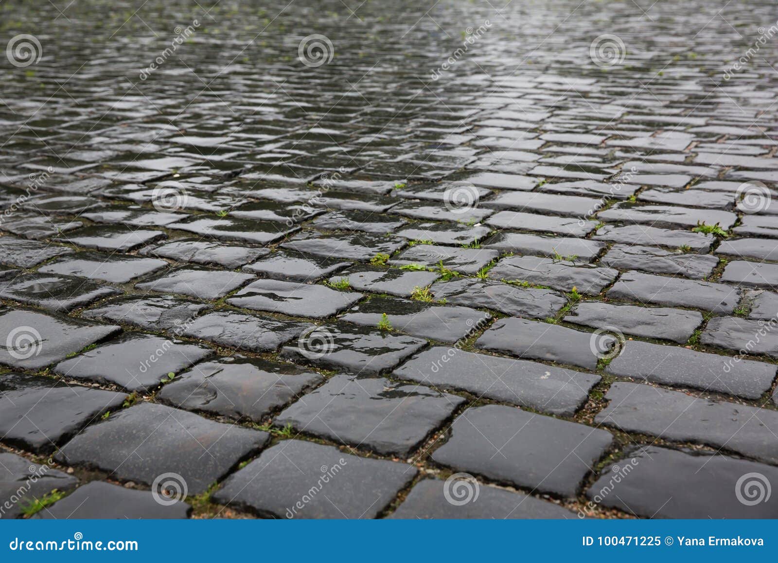 Wet stone pavement texture stock image. Image of material - 100471225