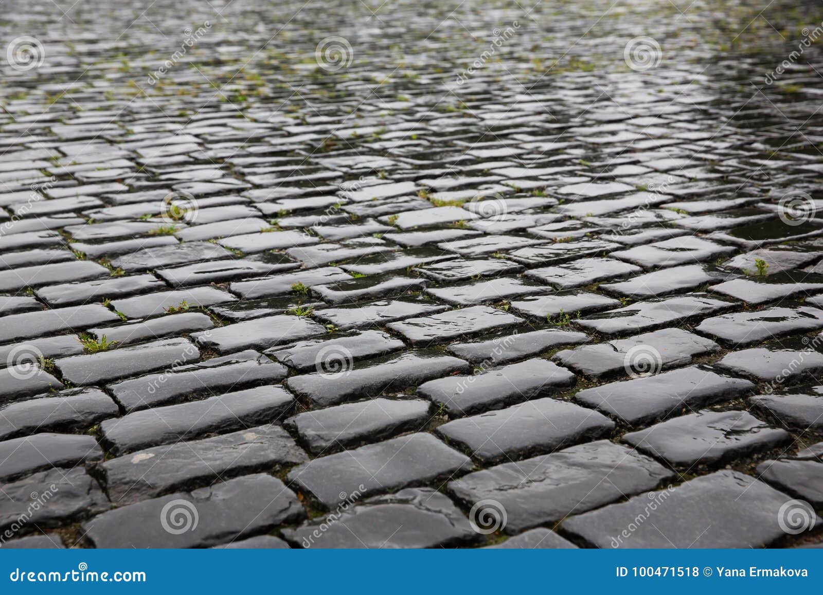 Wet stone pavement texture stock photo. Image of rain - 100471518