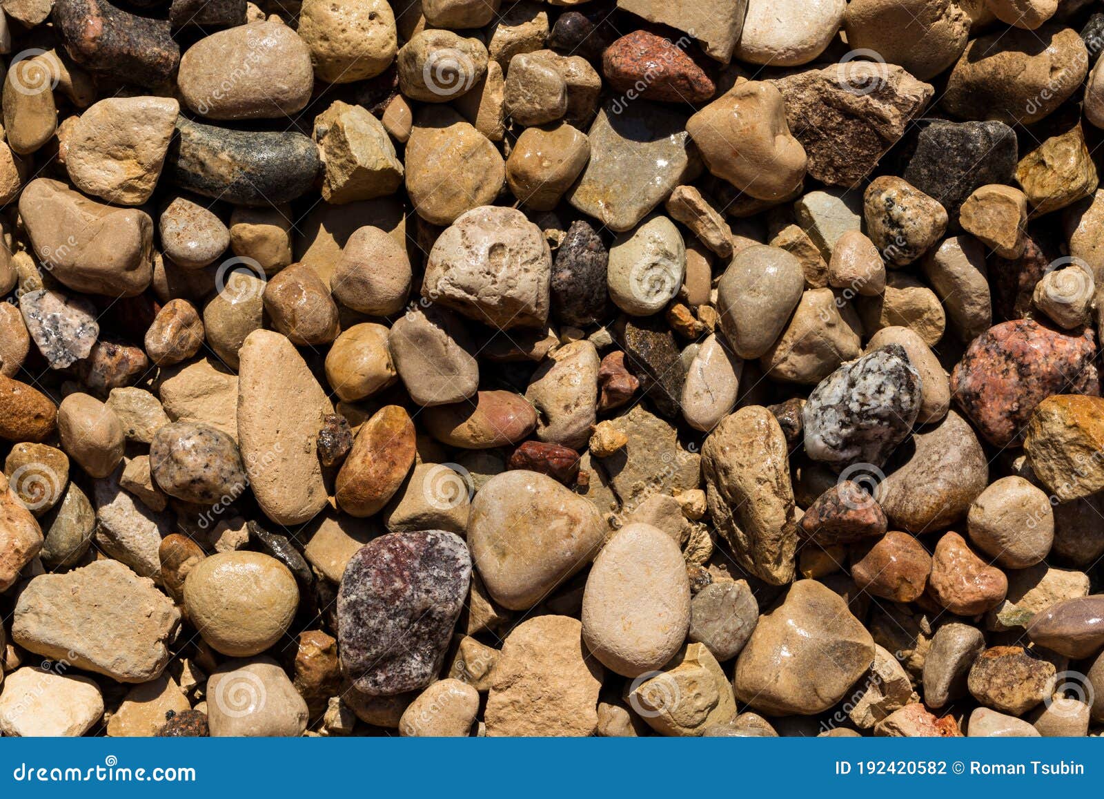 Wet Stone Pebbles Texture or Stone Pebbles Background for Design Stock ...