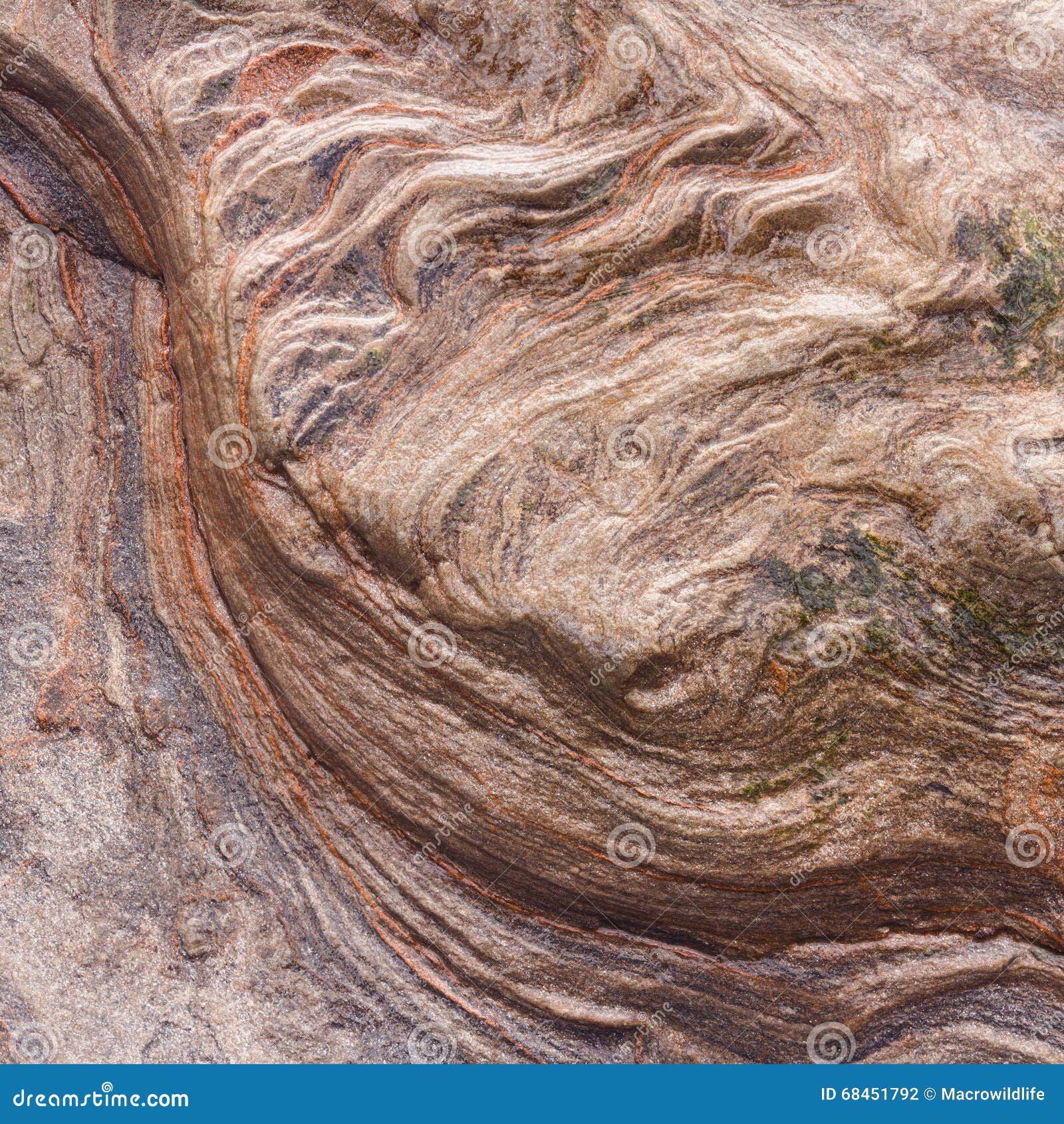 Wet stone surface texture stock photo. Image of material - 68451792