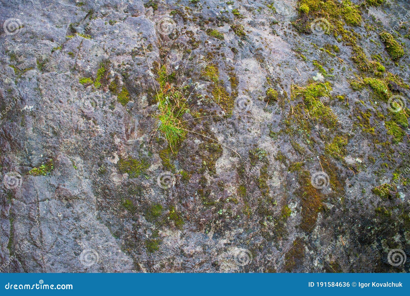 Wet stone texture stock photo. Image of damp, aged, ancient - 191584636