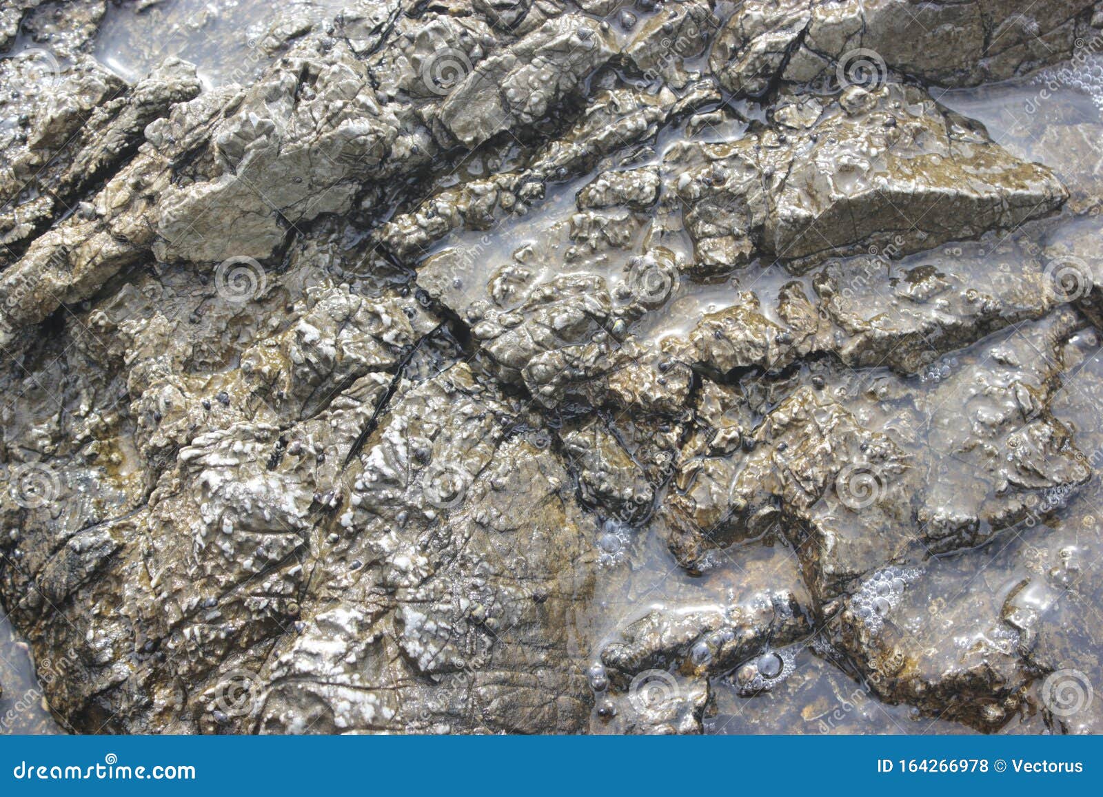 Wet Stone Texture Surface Photo Stock Photo - Image of texture, fissure ...