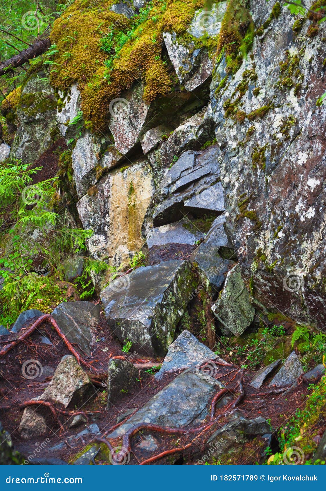 Wet stone texture stock image. Image of beautiful, mossy - 182571789