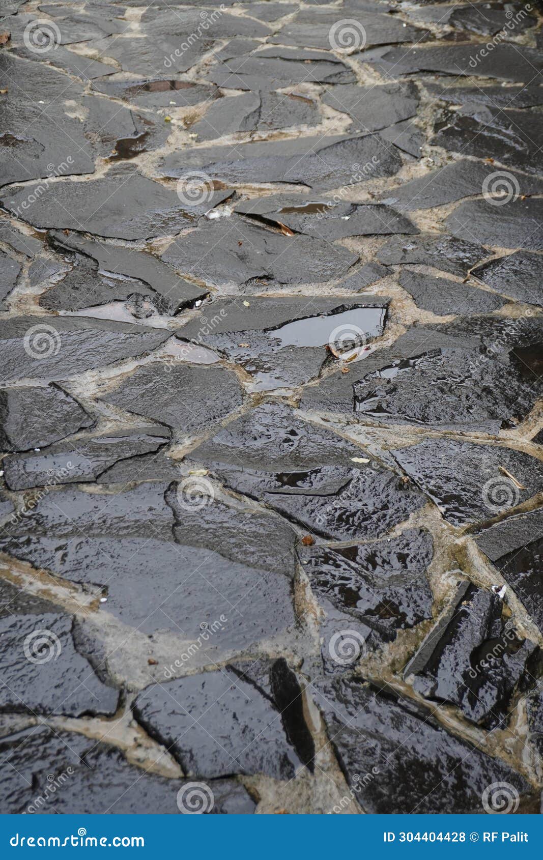 Wet Stone Tile after Rain in the Afternoon Stock Photo - Image of ...